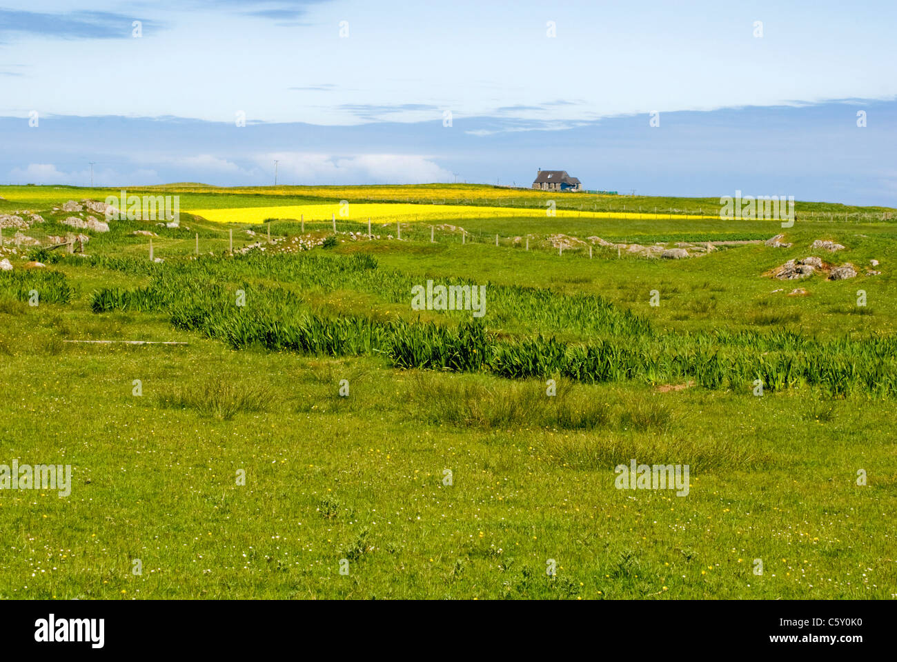 Machair on the Isle of Tiree, Scotland Stock Photo - Alamy