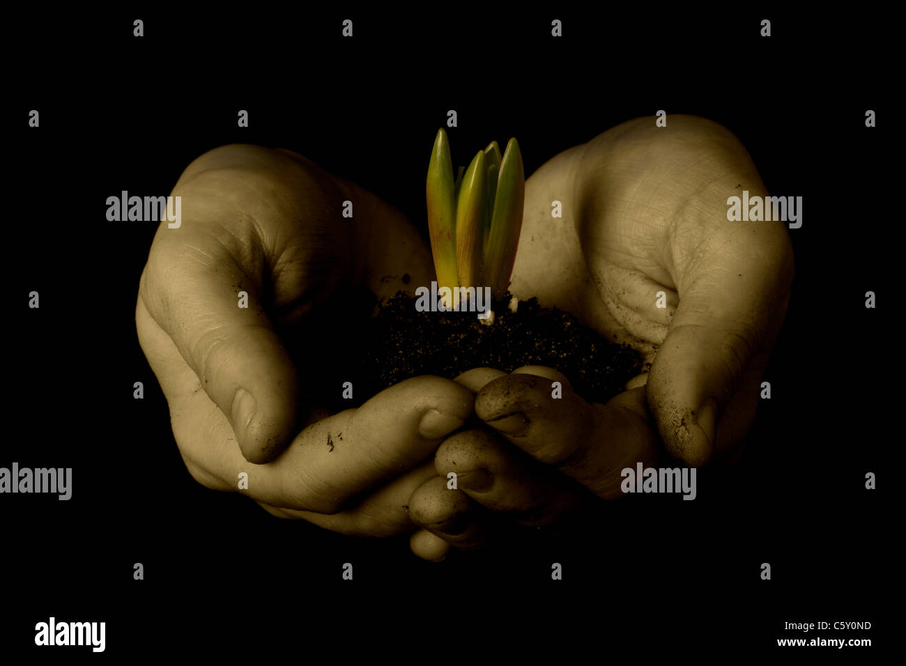 Visual language of our hands Stock Photo - Alamy