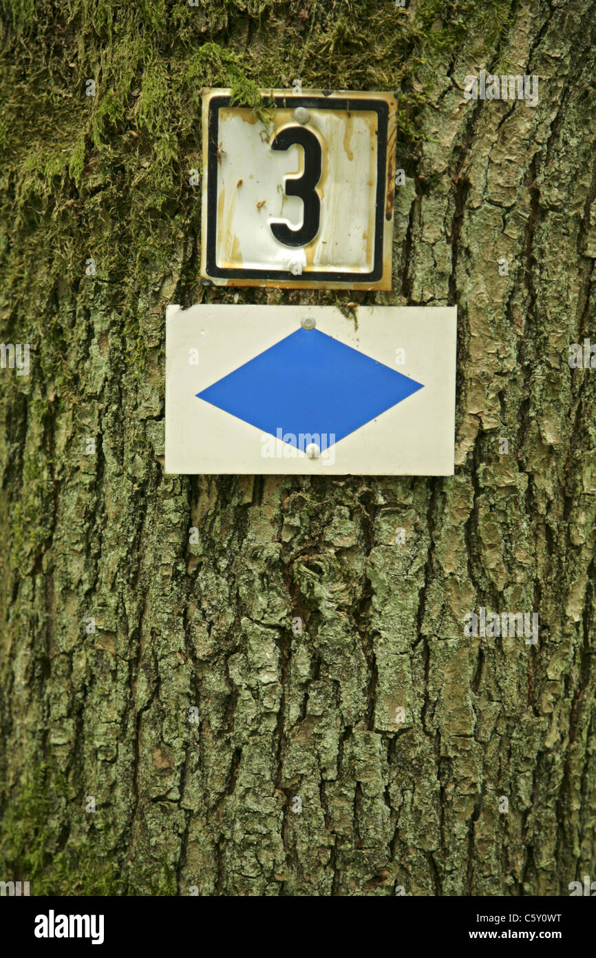 Number three and blue diamond markers fixed to tree to aid navigation ...