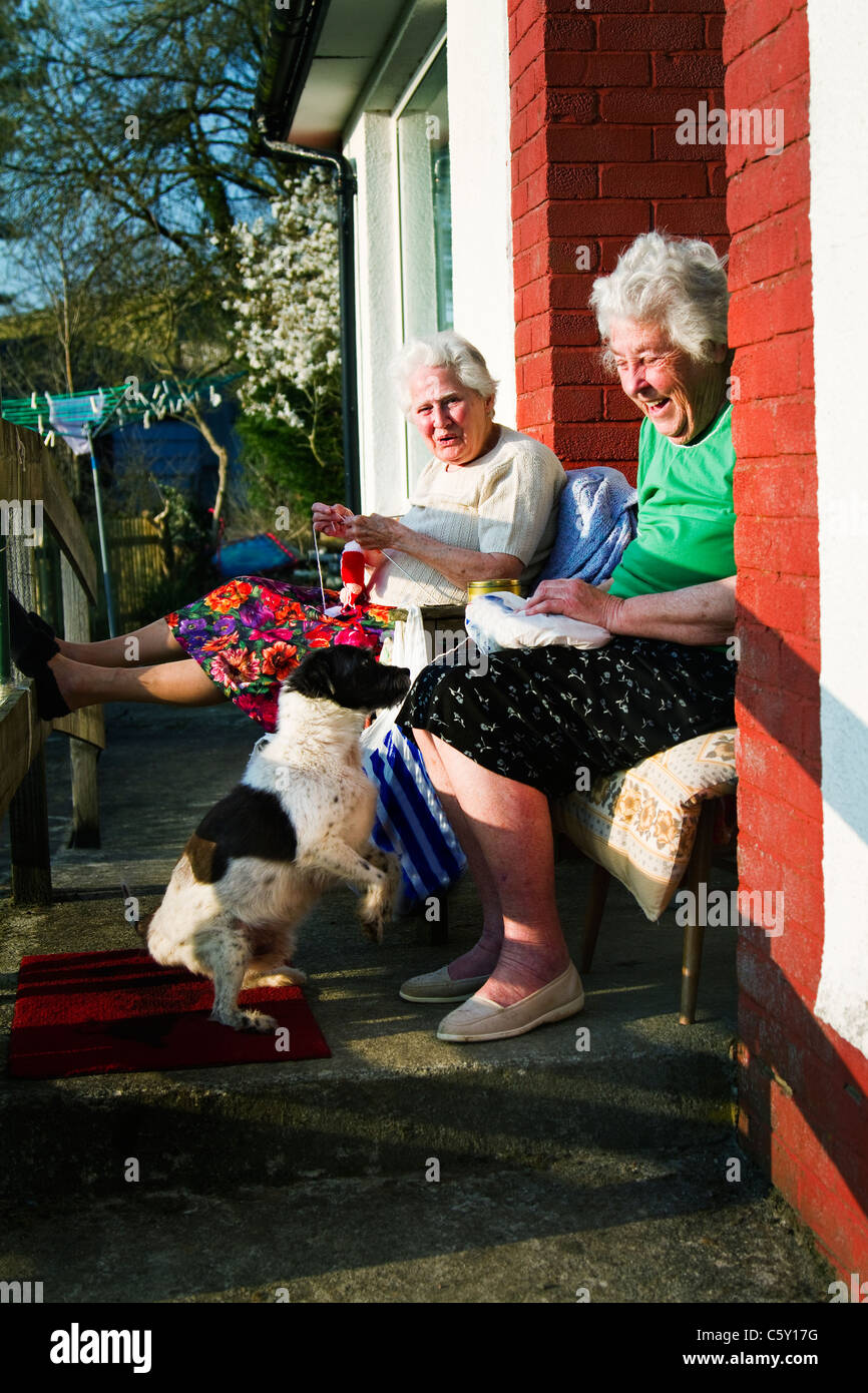 Two old lady's knitting with their pet dog Stock Photo - Alamy
