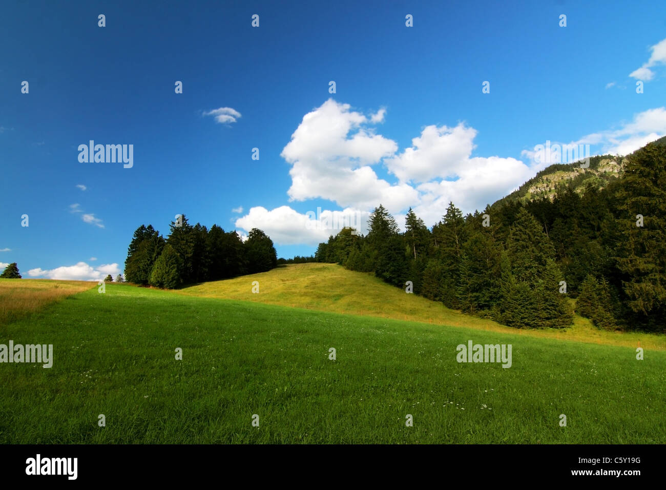 Alpine landscape with bright blue sky and mountain Stock Photo - Alamy