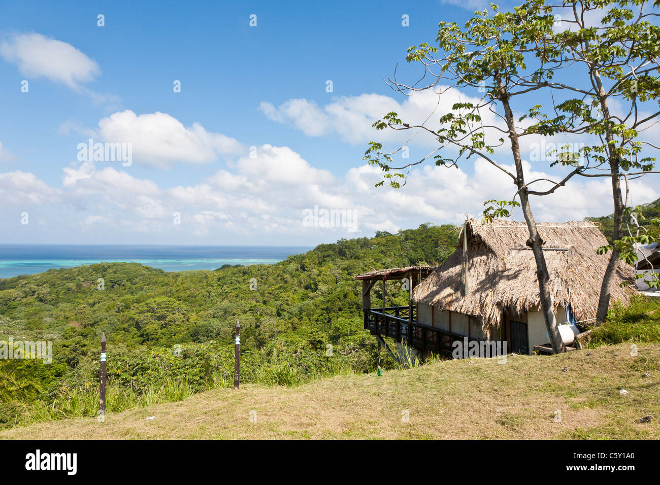 Tropical straw roof hut hi-res stock photography and images - Alamy