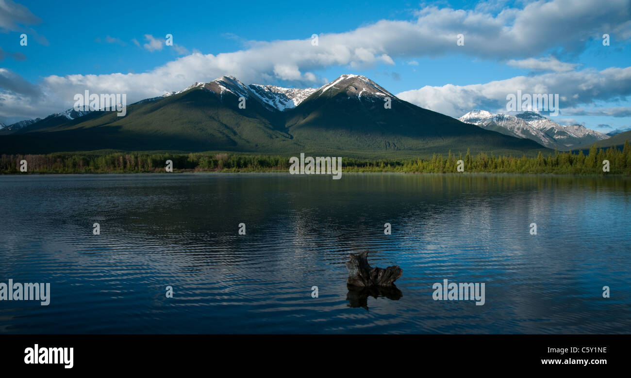 A landscape view of Mount Rundle and Sulphur Mountain reflected in the ...