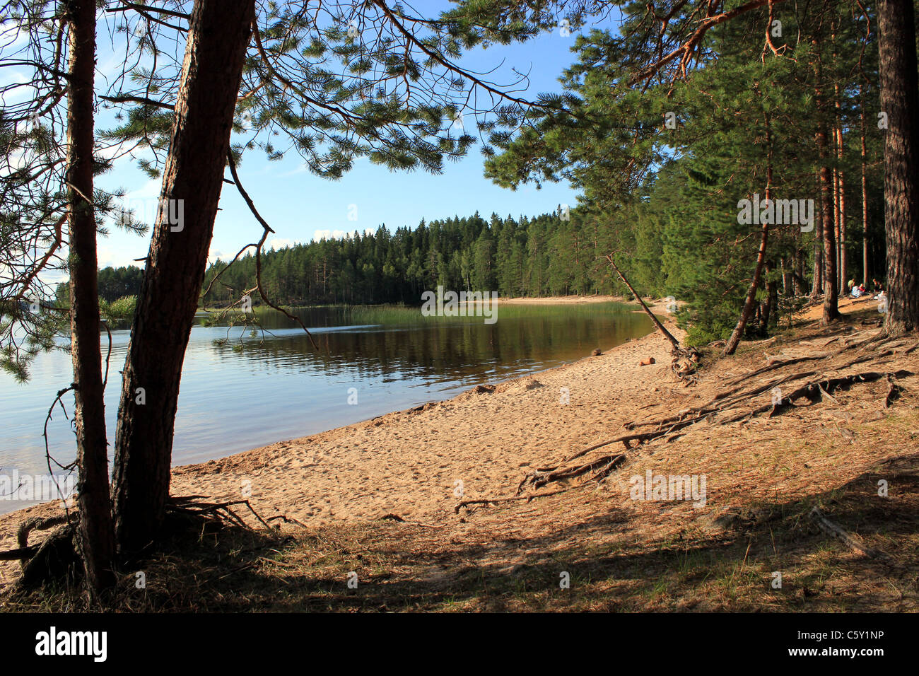 Haukanhieta Sands Helvetinjärvi National Park Ruovesi, Finland Stock ...