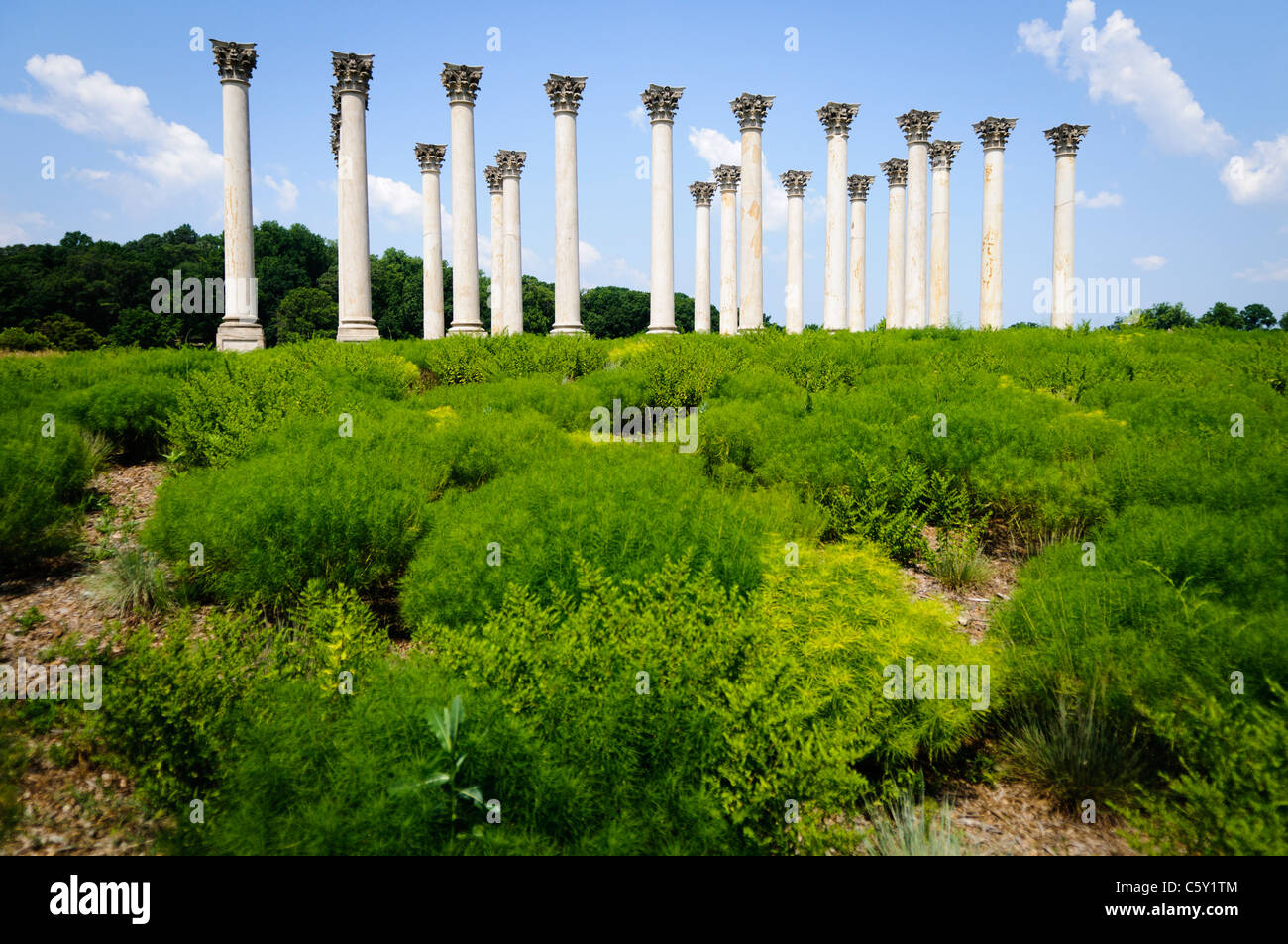 US National Arboretum Capitol Columns Washington DC // WASHINGTON DC ...