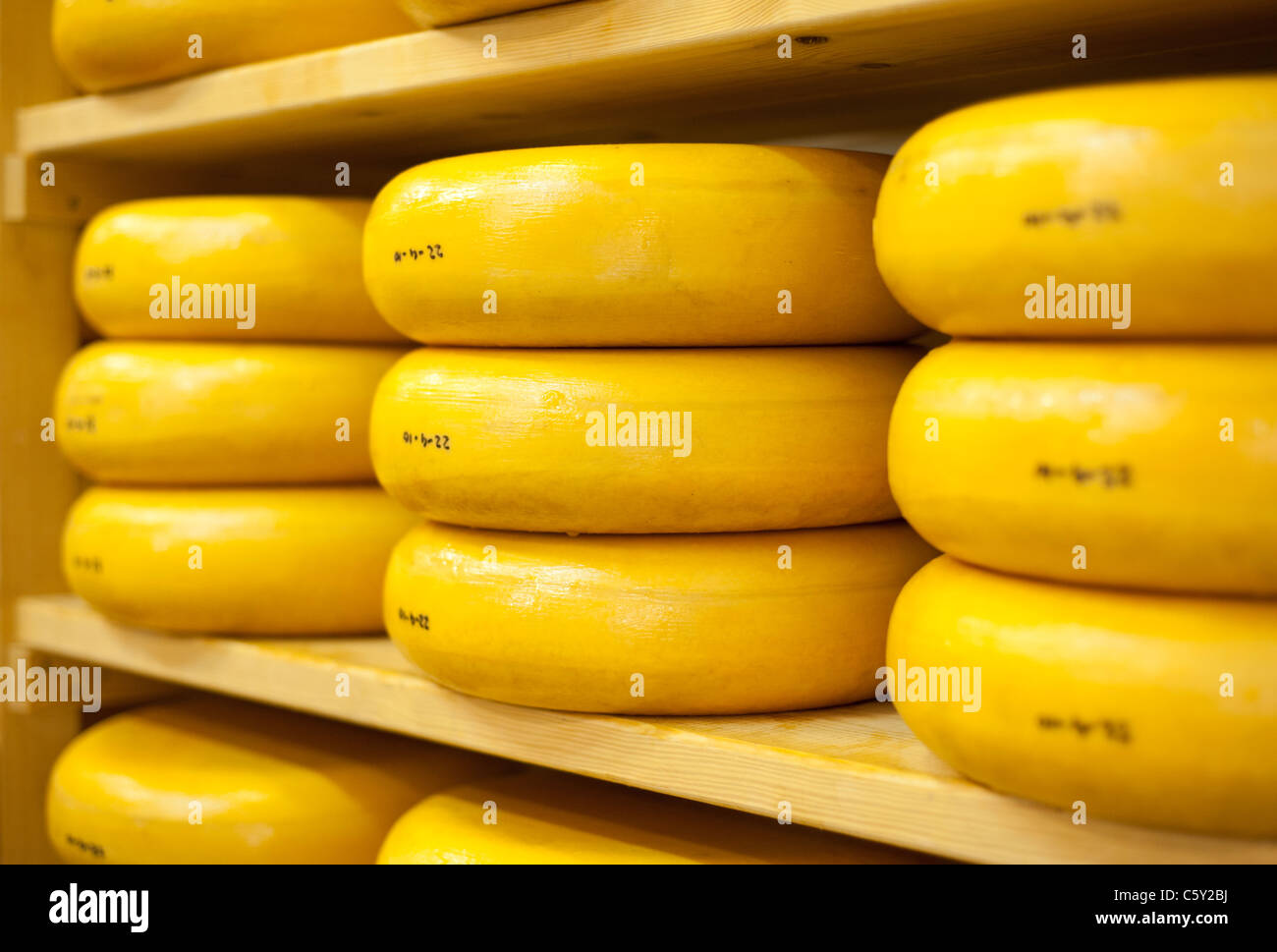 A stack of fresh cheeses Stock Photo - Alamy