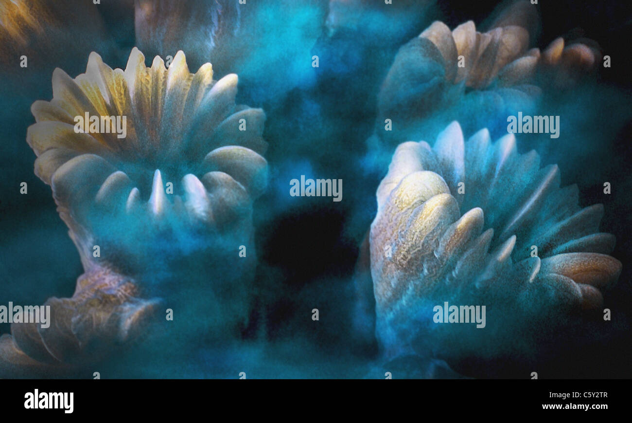 "Coral Spawn" The growth of a reef begins with life. This image is of ...