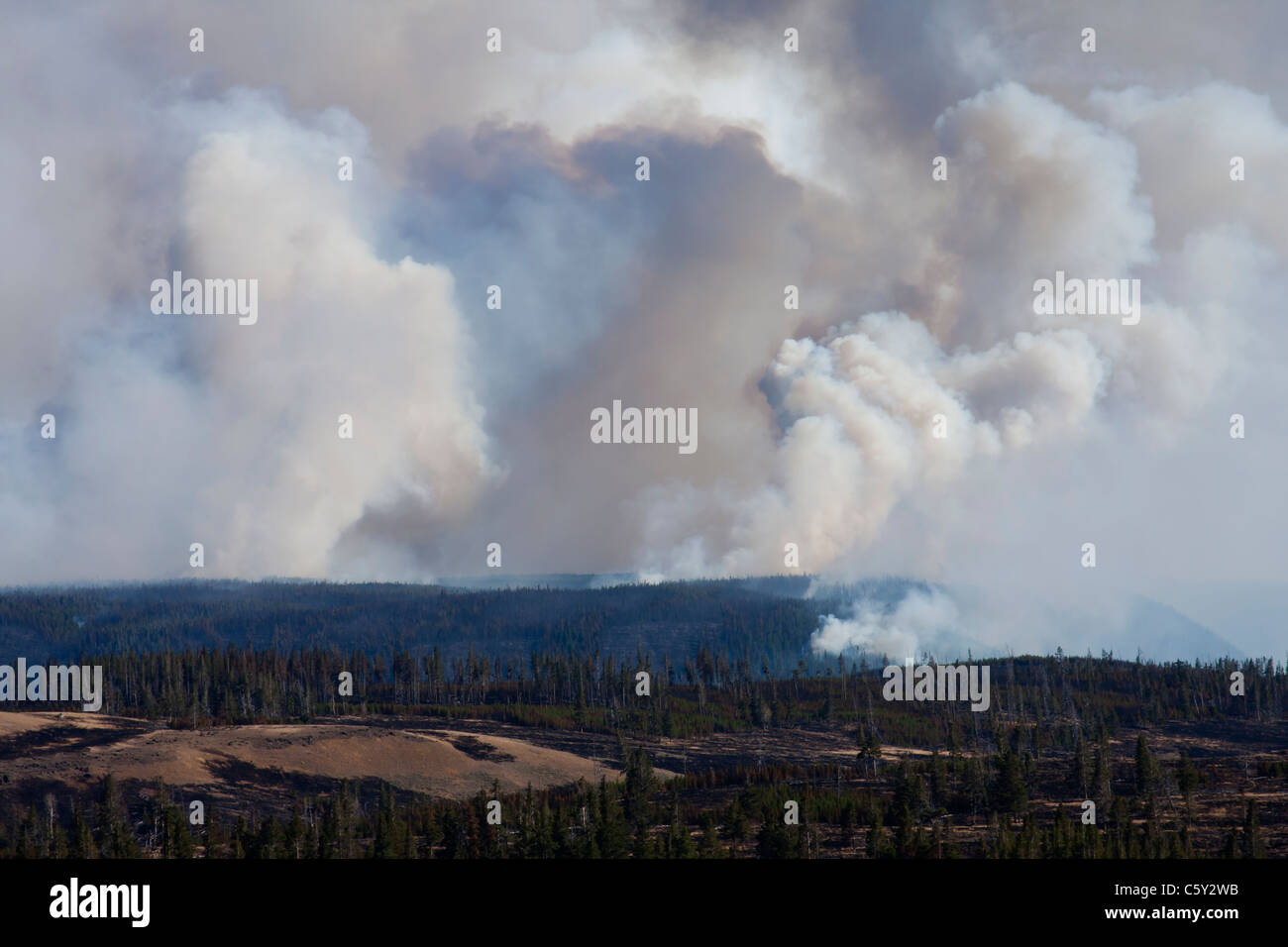 How fire started hi-res stock photography and images - Alamy