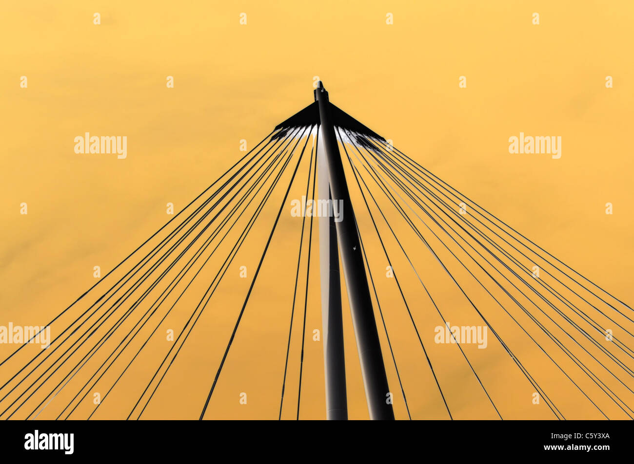 Abstract architecture cluster of suspension bridge wire cables ...