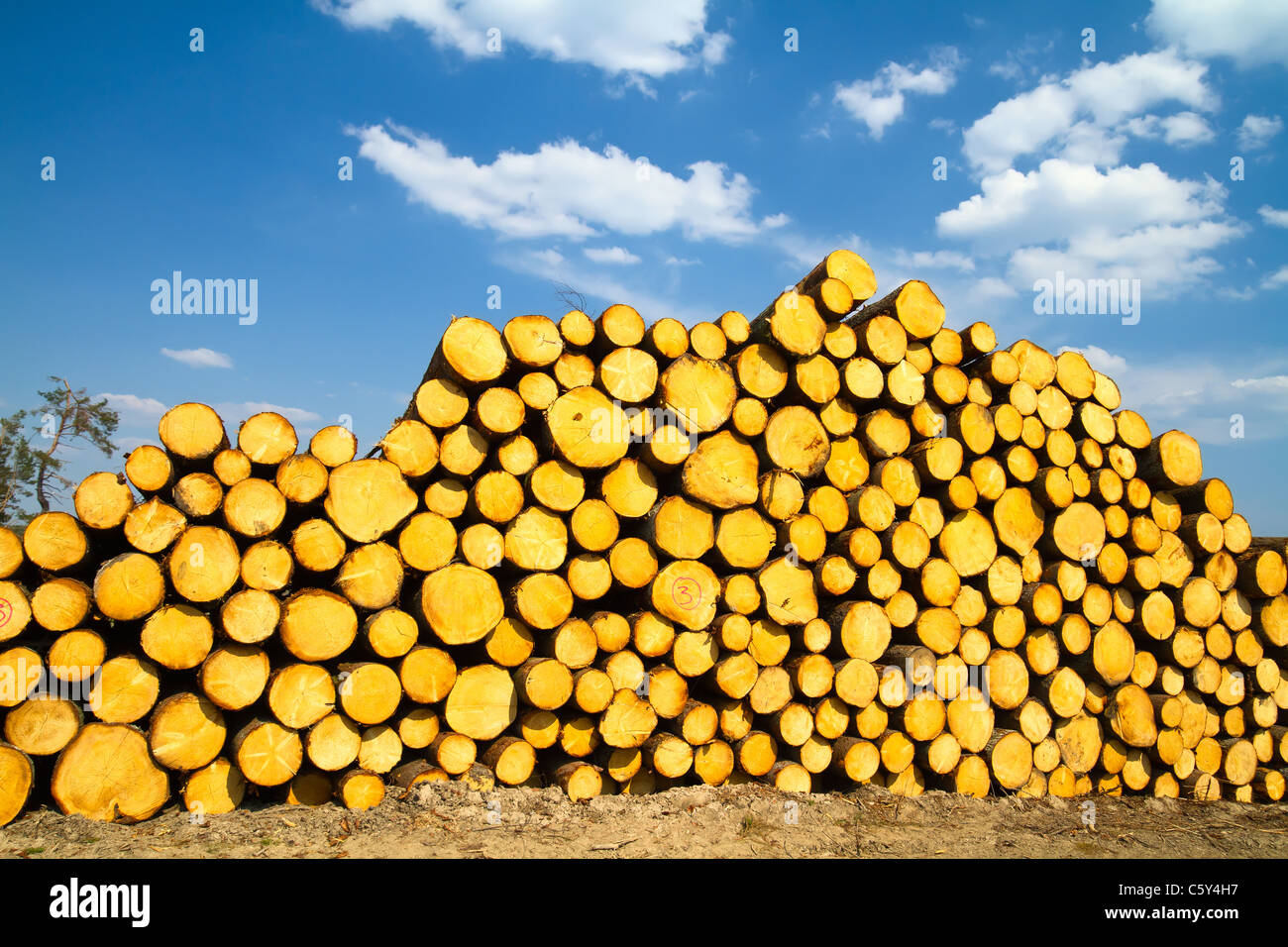 Sawn timber pile hi-res stock photography and images - Alamy