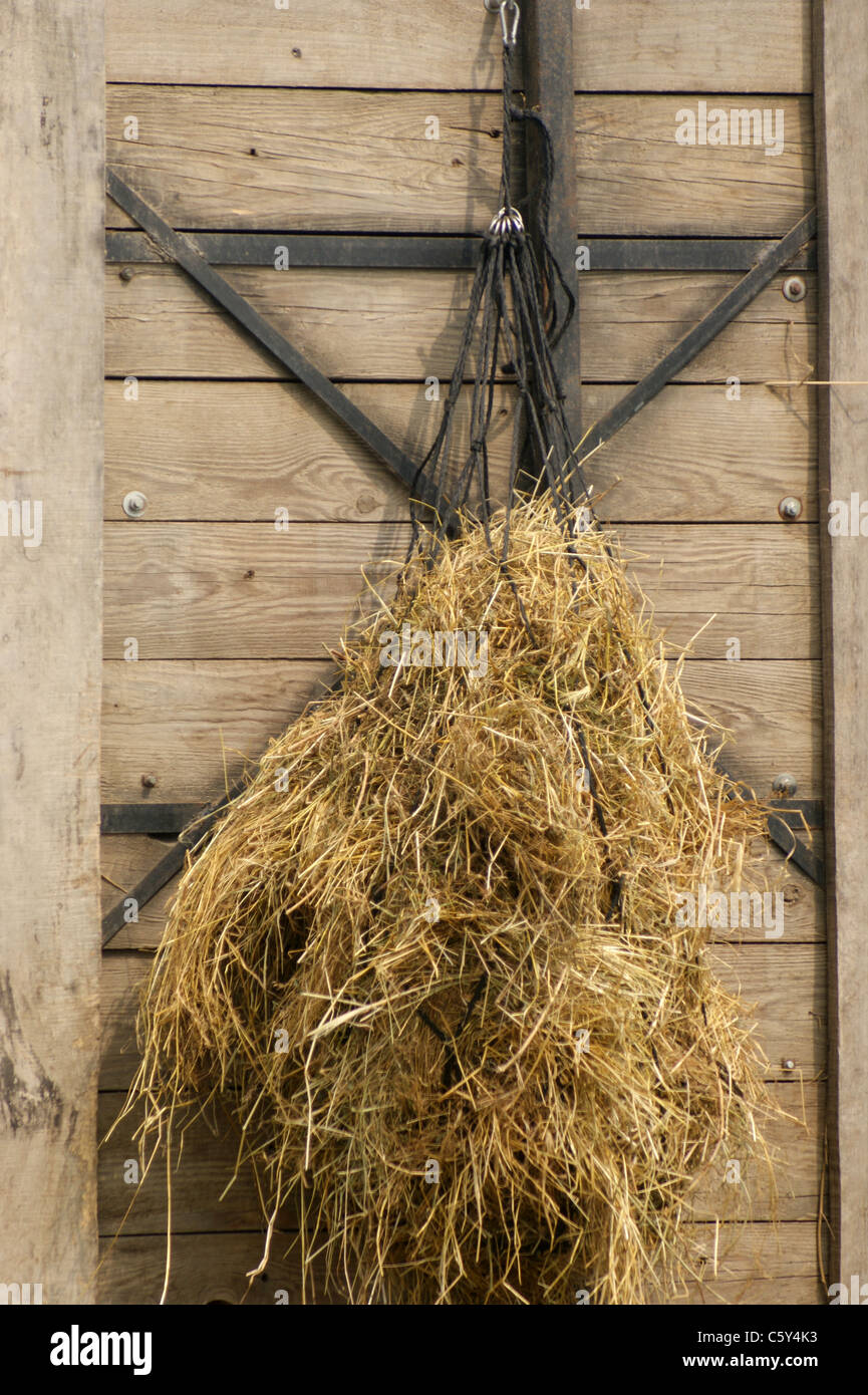 Straw net hi-res stock photography and images - Alamy