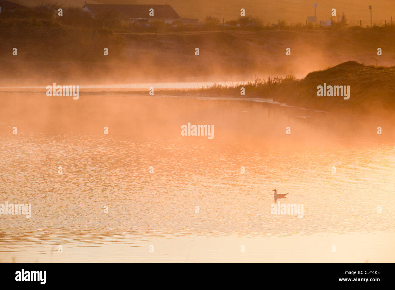Mist at st gothian sands hi-res stock photography and images - Alamy