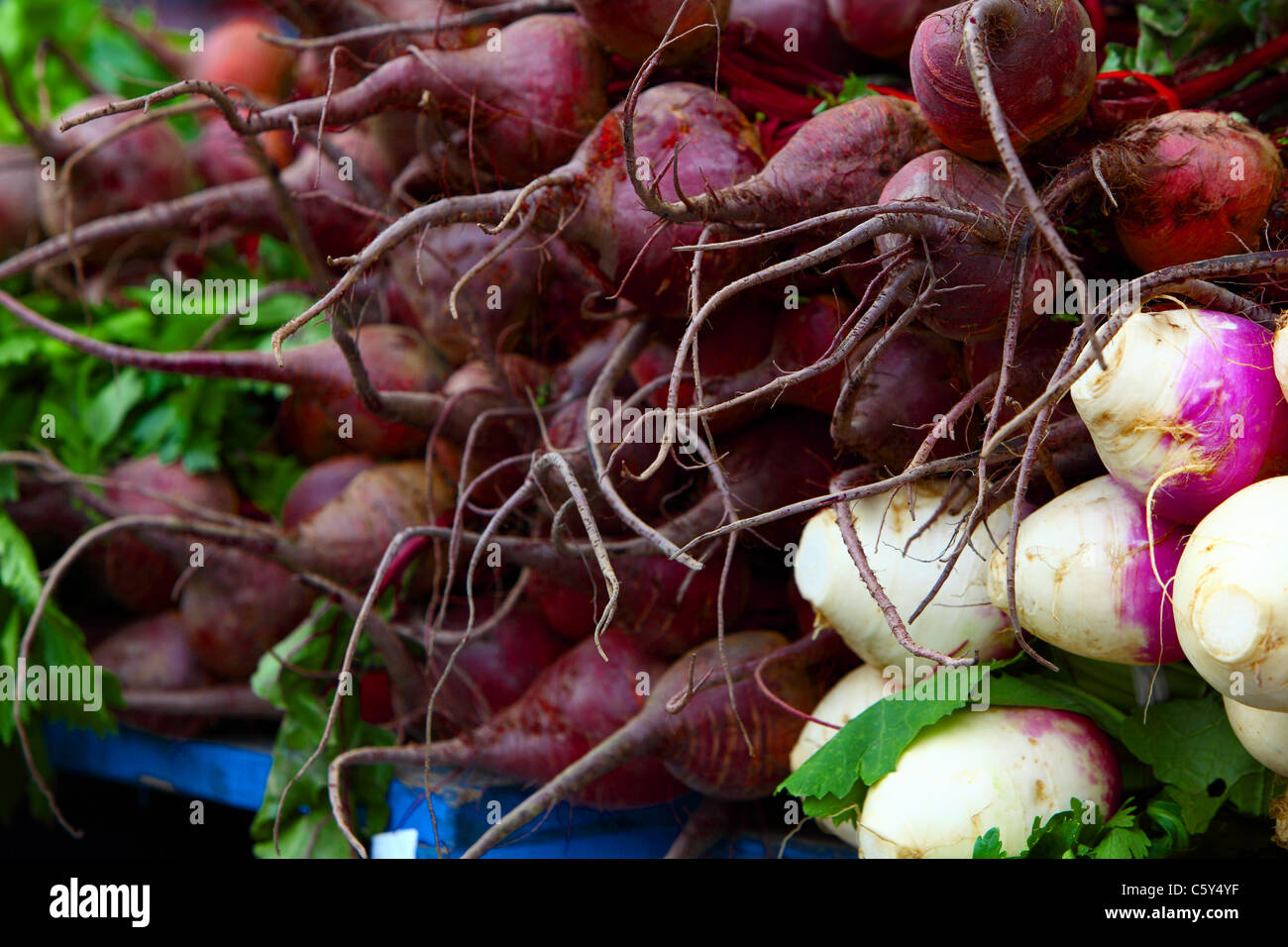 Fresh fruit and vegetables on display at Paddy's Market in Sydney ...
