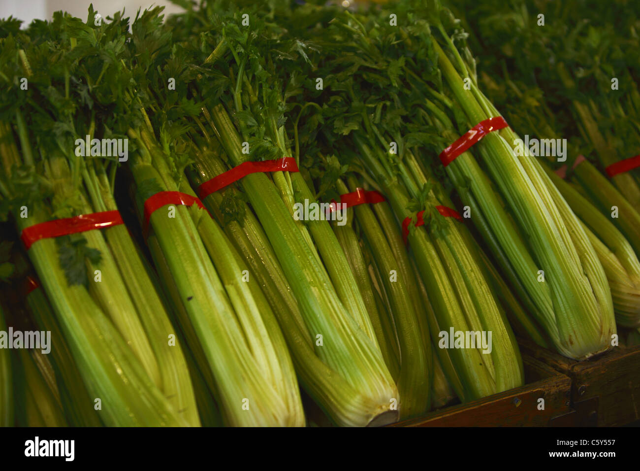 Fresh fruit and vegetables on display at Paddy's Market in Sydney ...