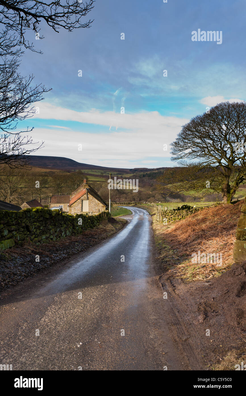 Devlin hall hi-res stock photography and images - Alamy