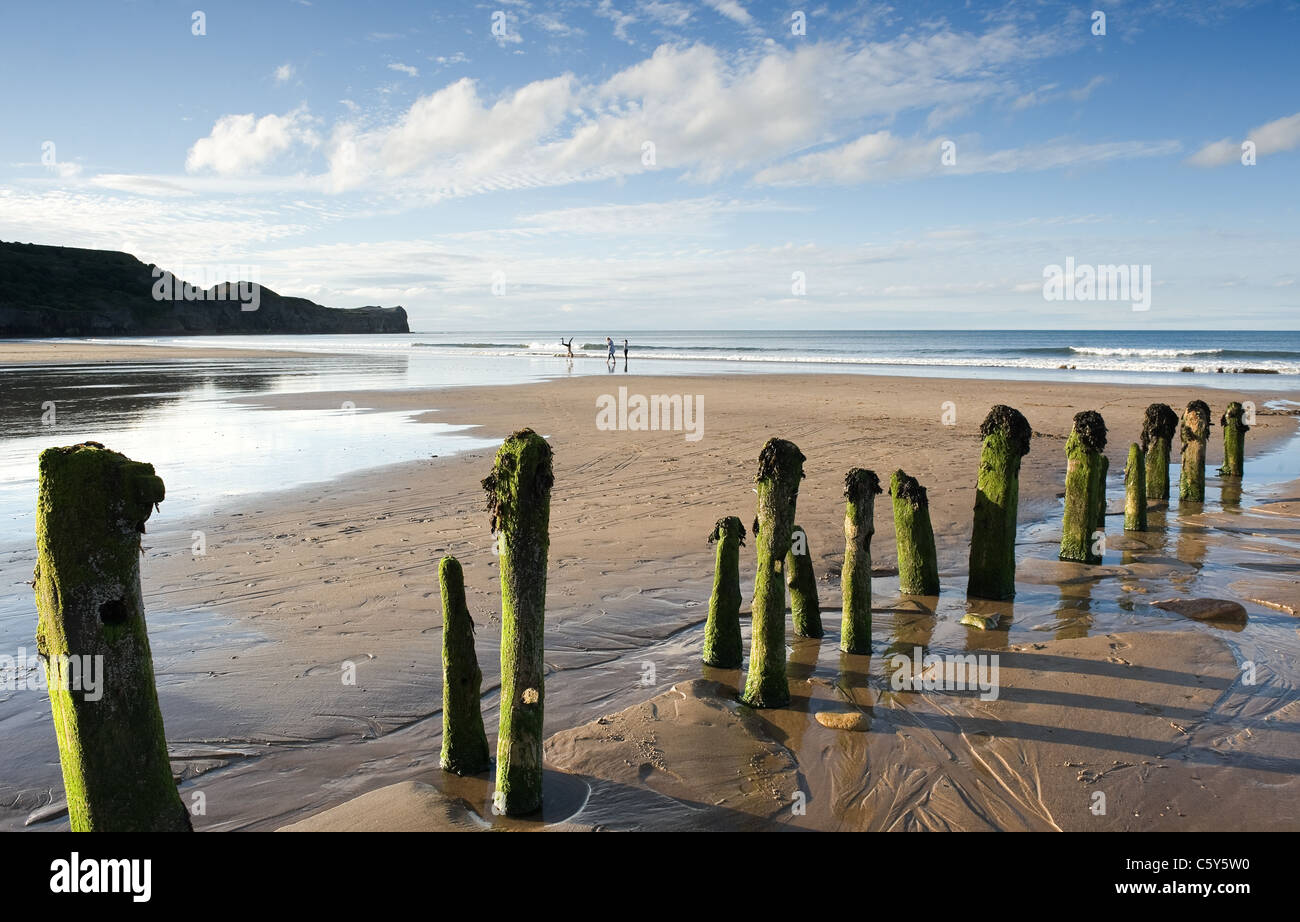 Groynes on the beach at Sandsend near Whitby Stock Photo - Alamy