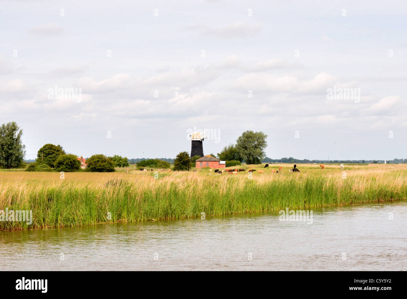 Tall Mill drainage mill - River Bure Stock Photo - Alamy