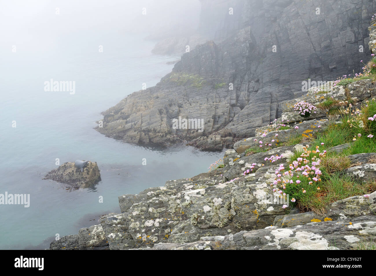Cardigan bay in distance hi-res stock photography and images - Alamy