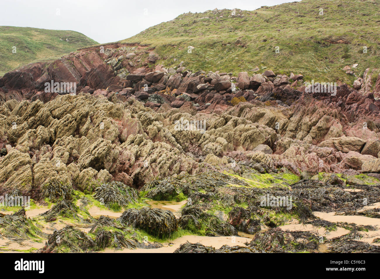 Rocks at Freshwater West beach in Pembrokeshire, Wales Stock Photo - Alamy