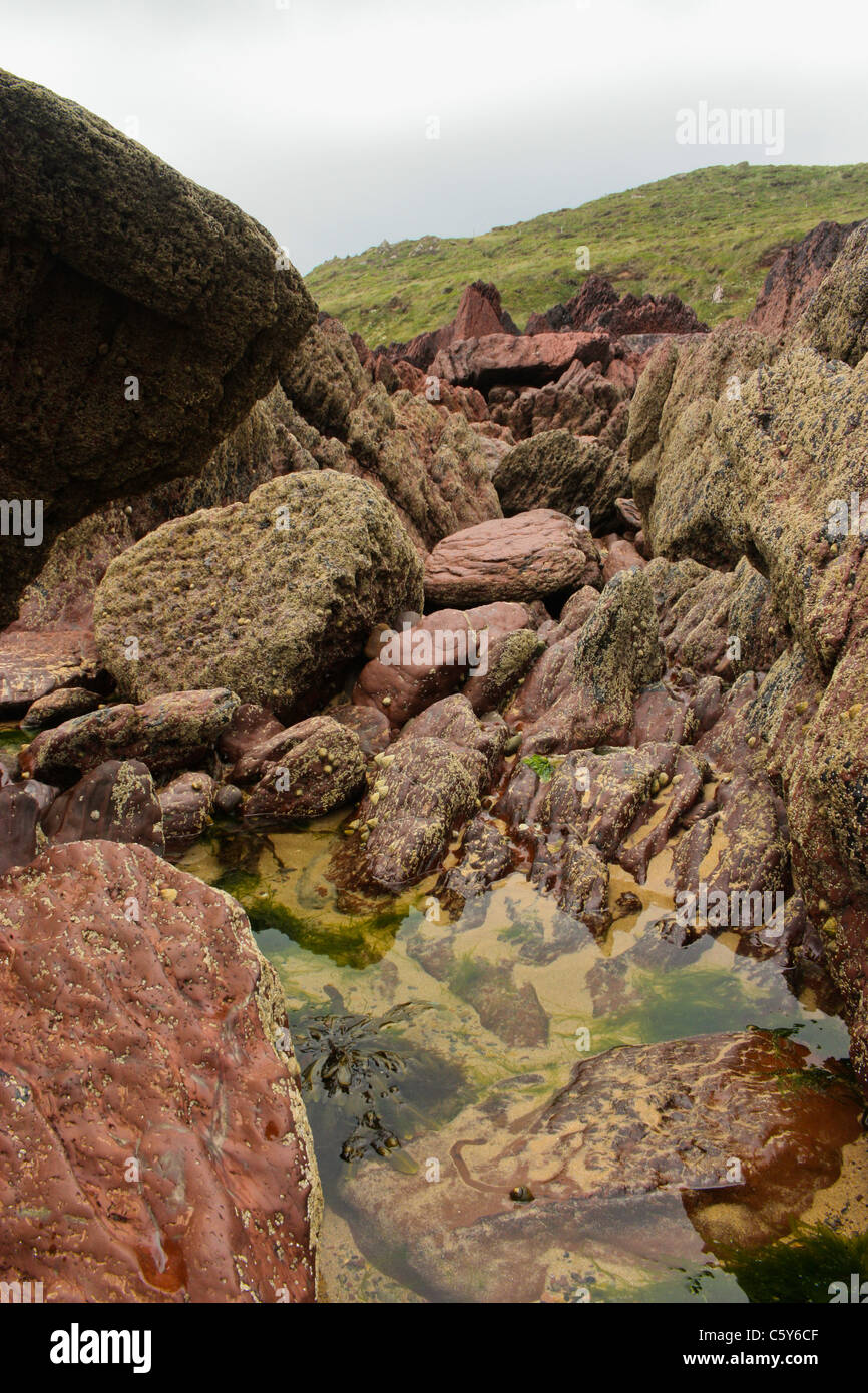 Rock pool at Freshwater west beach in Pembrokeshire, Wales Stock Photo ...