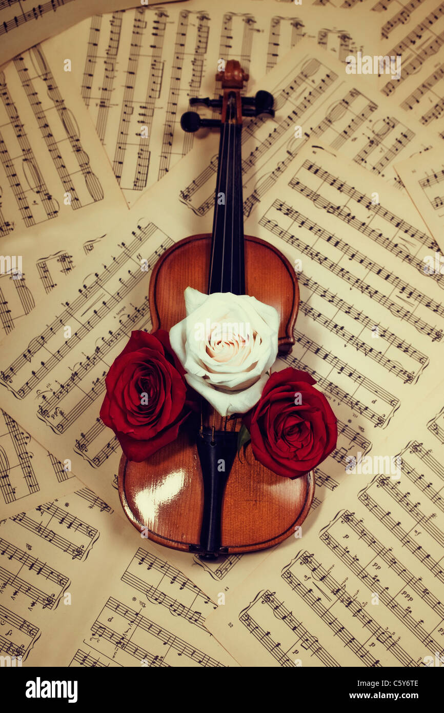 old violin with musical notes and roses closeup Stock Photo - Alamy