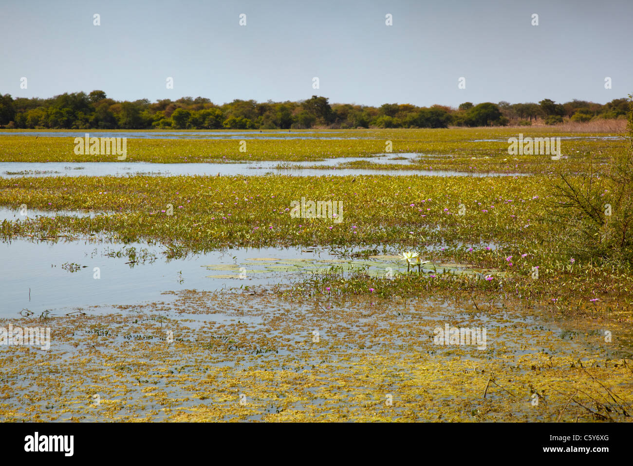 Darhilla Lake, Dinder (Dindir) National Park, Northern Sudan, Africa ...