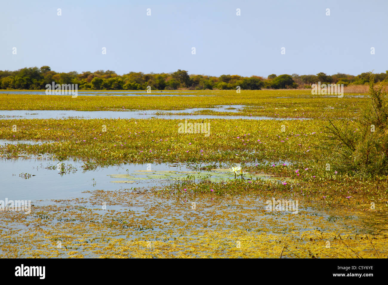 Darhilla Lake, Dinder (Dindir) National Park, Northern Sudan, Africa ...