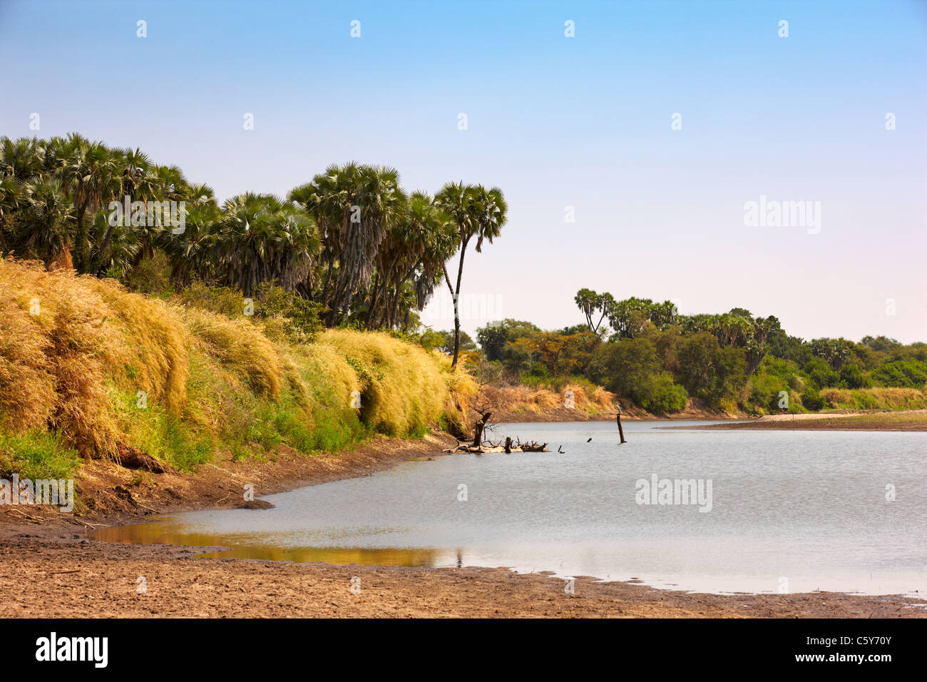 Dinder (Dindir) National Park, Northern Sudan, Africa Stock Photo - Alamy