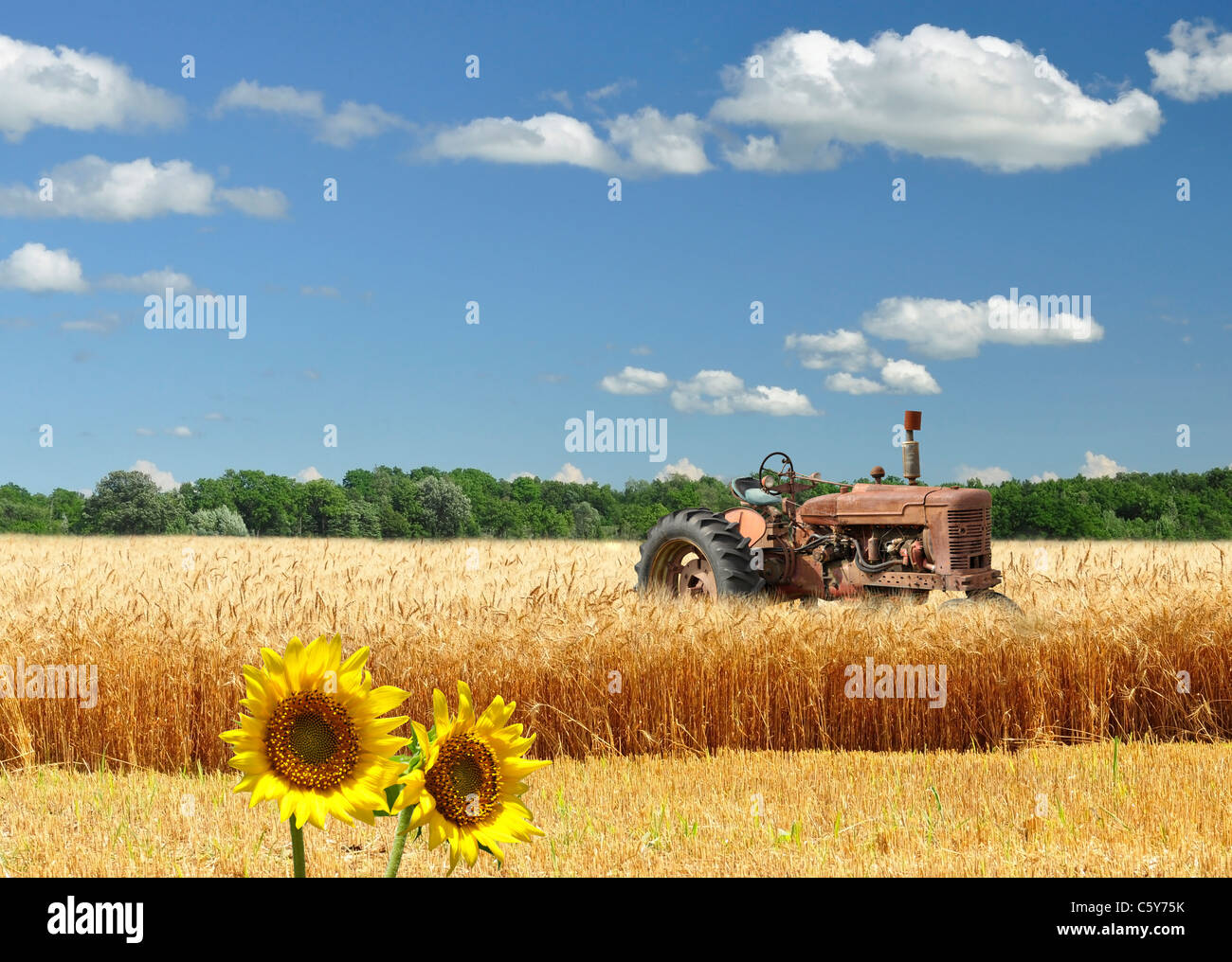 old broken tractor on a wheat field Stock Photo - Alamy