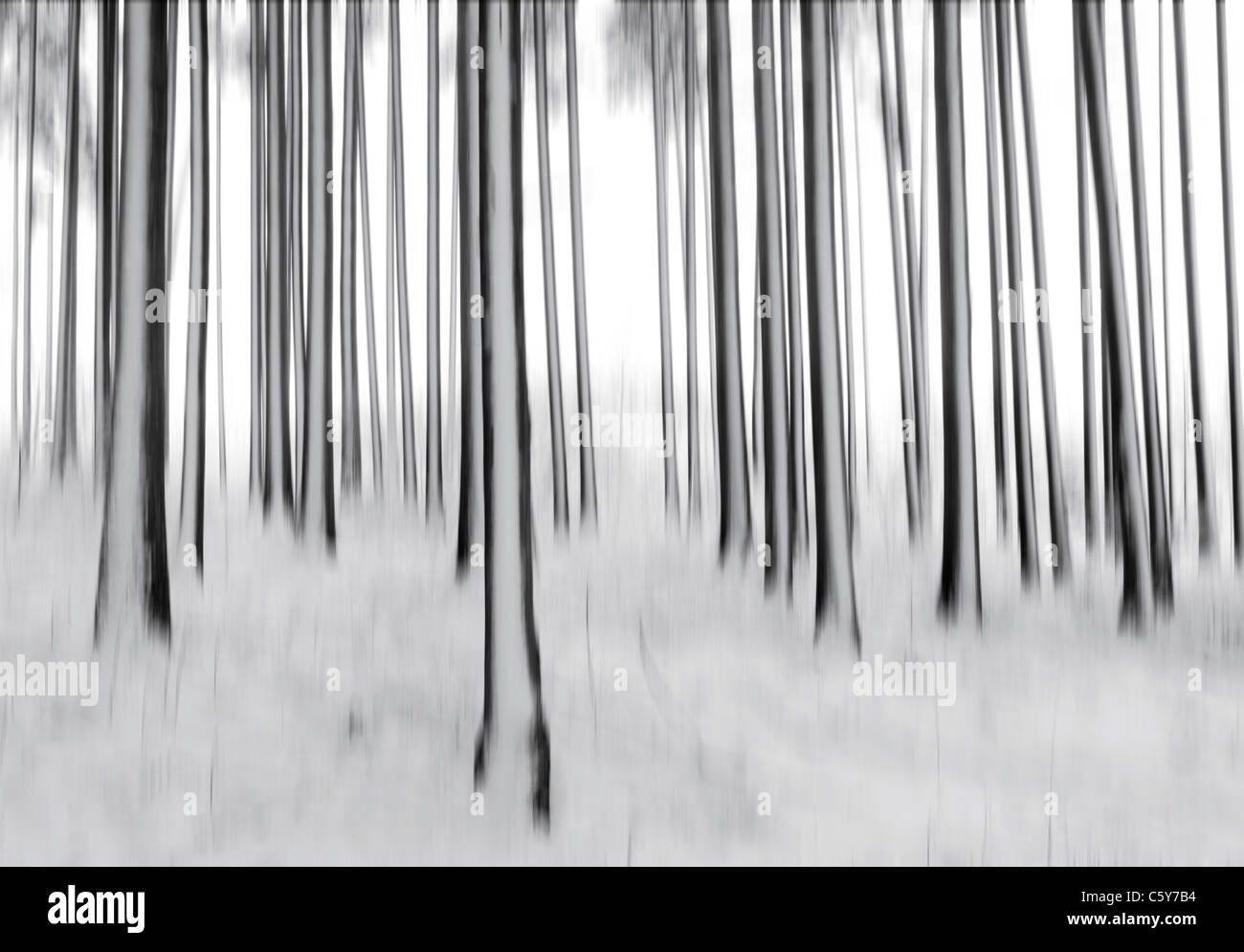 blurred trees and snow Stock Photo - Alamy