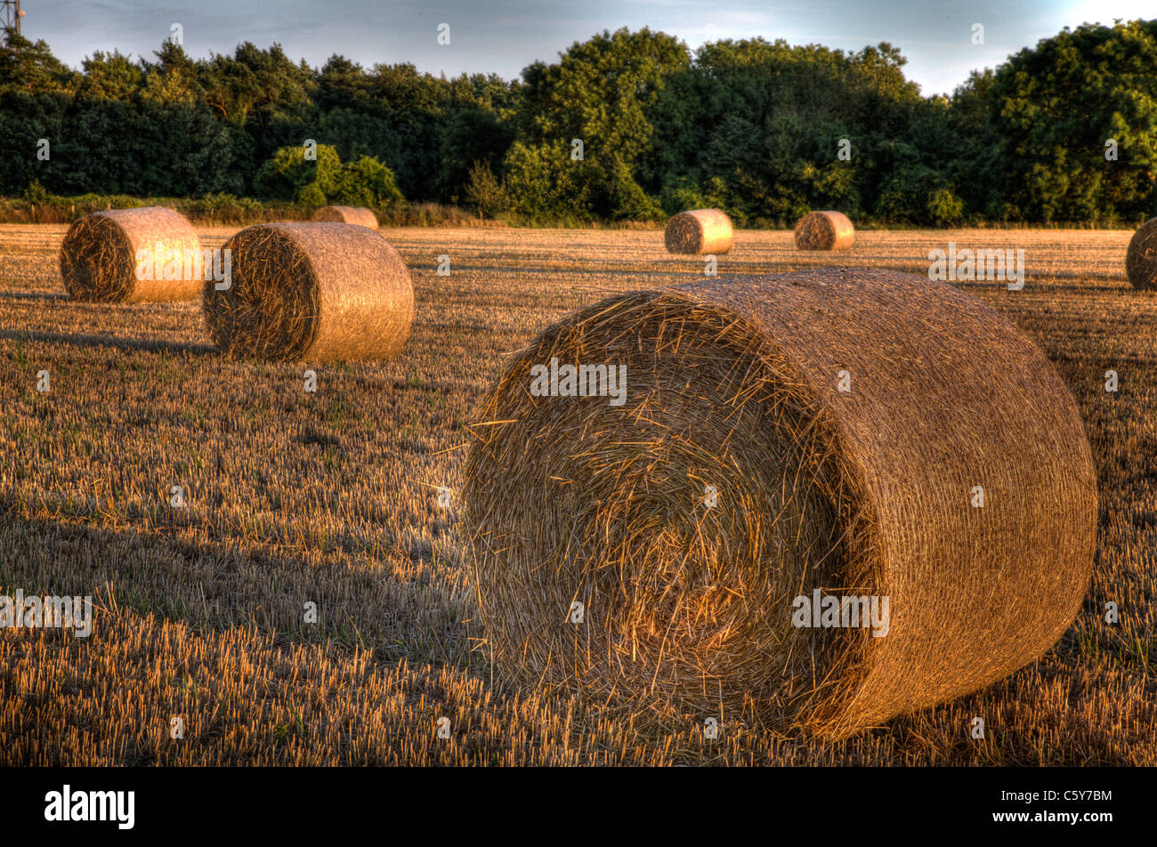 Round bales hi-res stock photography and images - Alamy