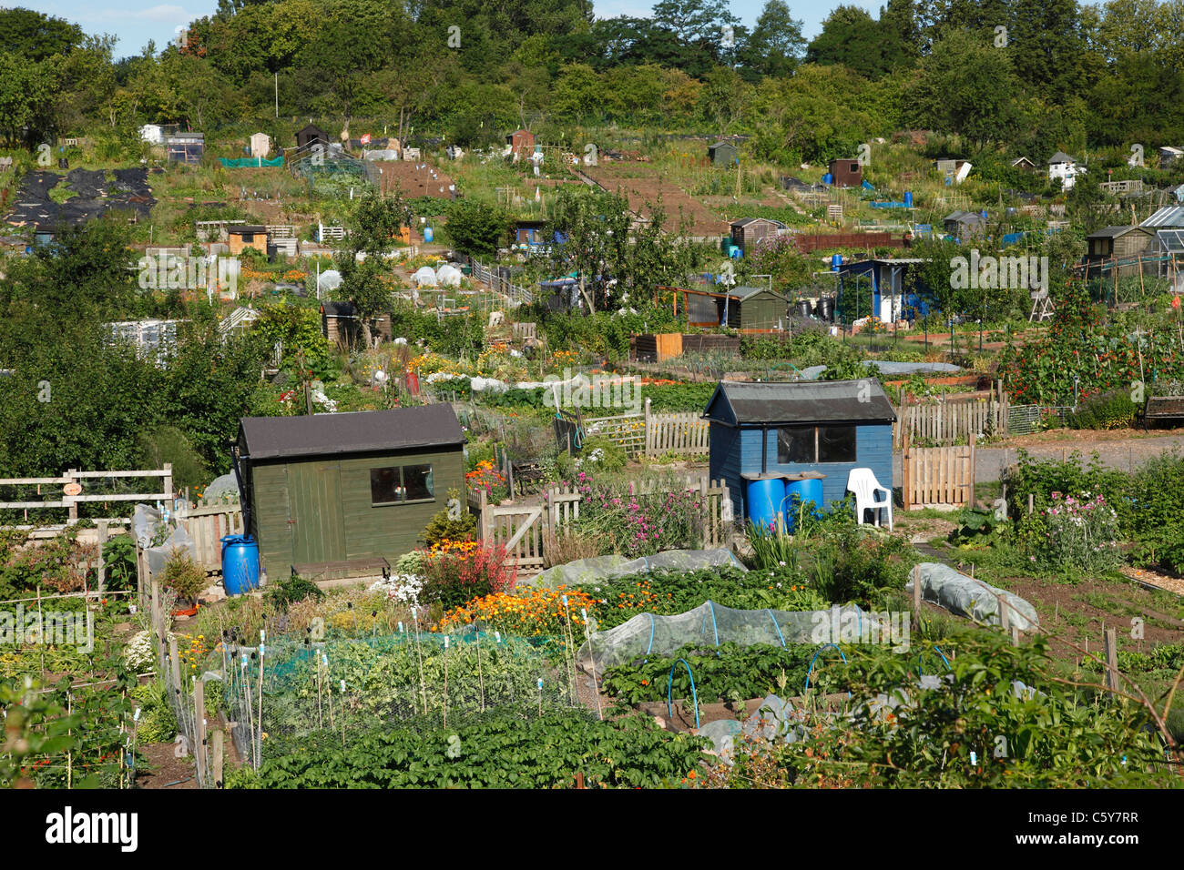 Allotments and gardens hi-res stock photography and images - Alamy
