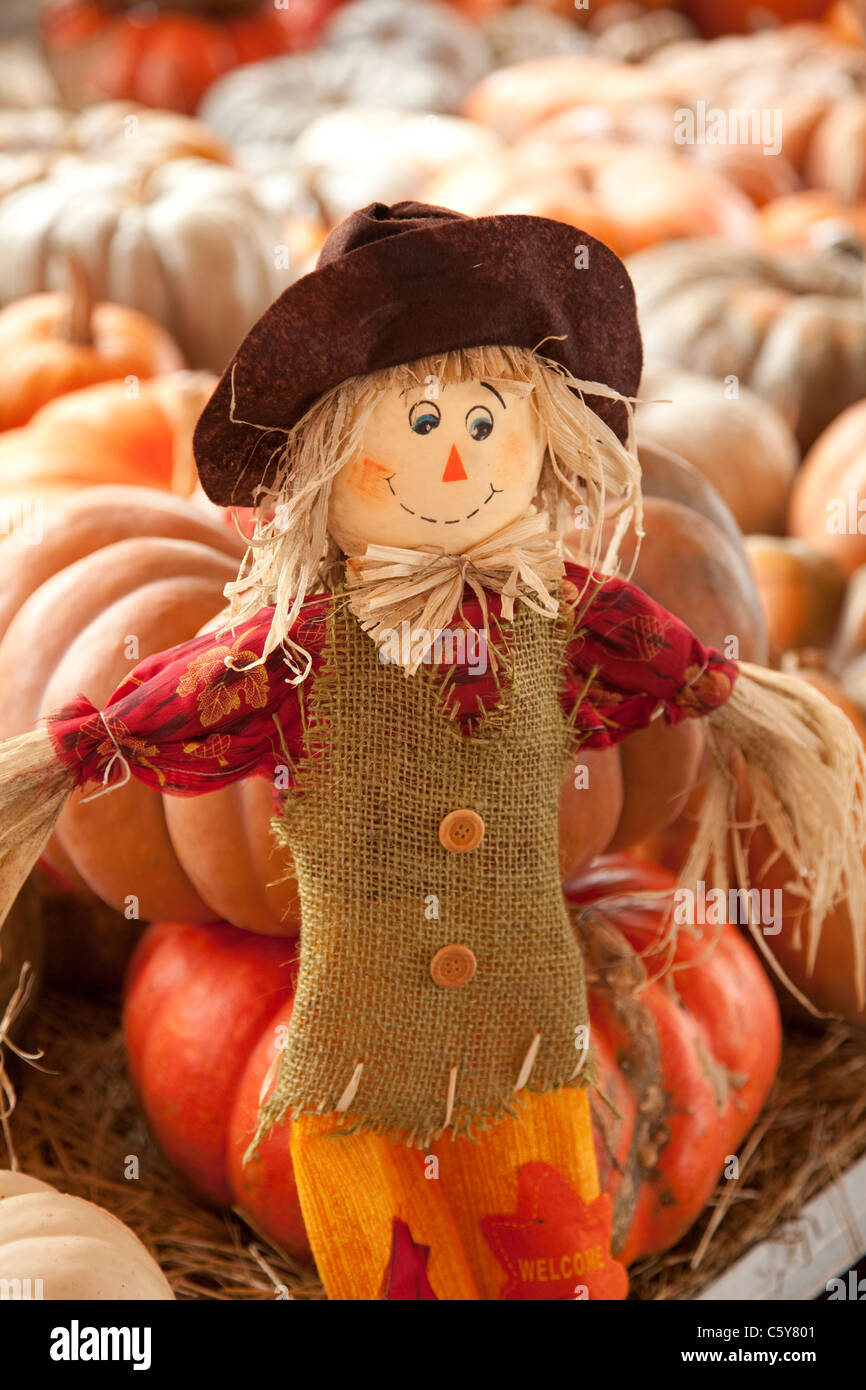 Halloween thanksgiving fall pumpkins scarecrow orange Stock Photo - Alamy