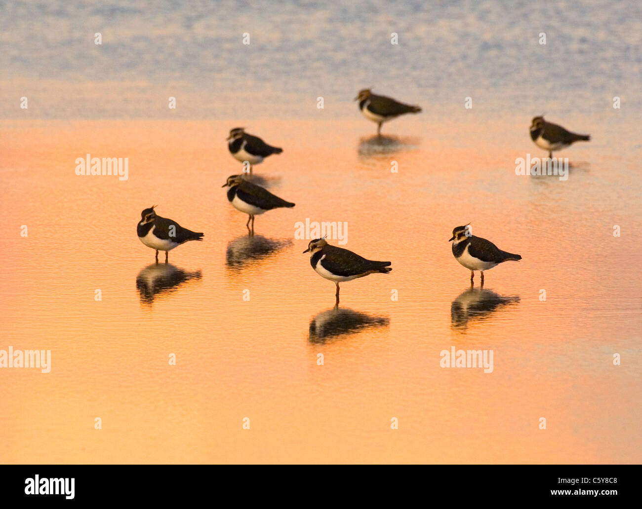 Shallow water lagoon hi-res stock photography and images - Alamy