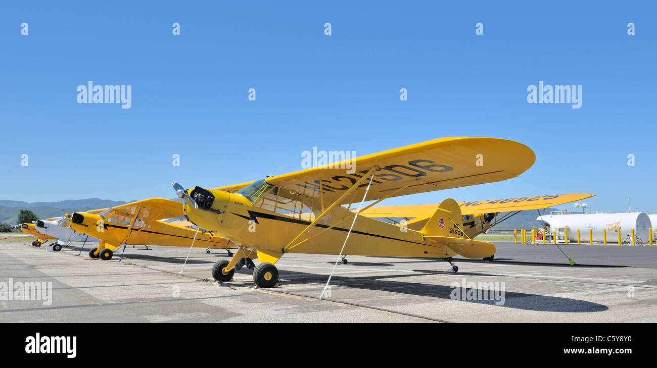 Piper cub hi-res stock photography and images - Alamy