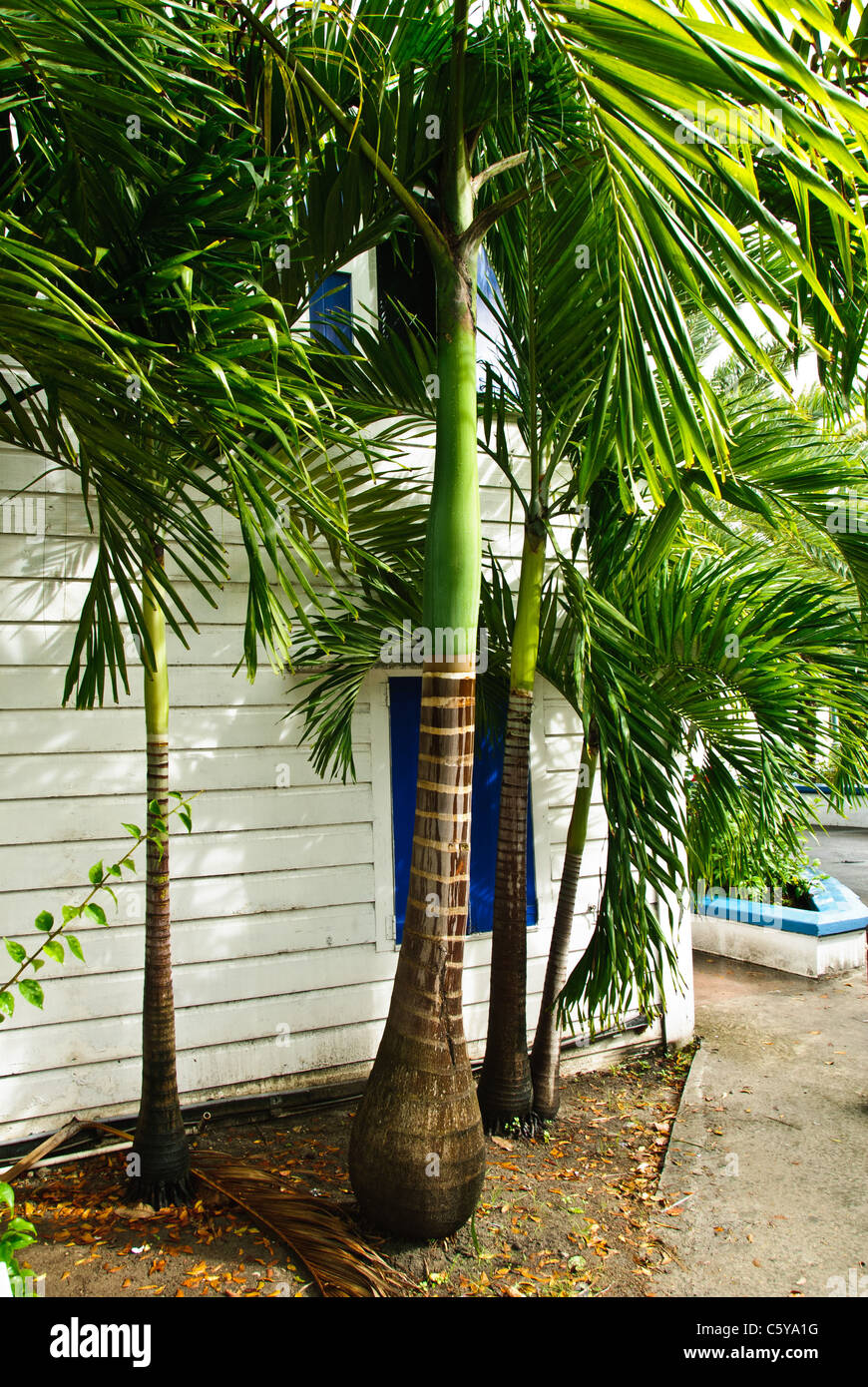 Historic redcliffe quay hi-res stock photography and images - Alamy