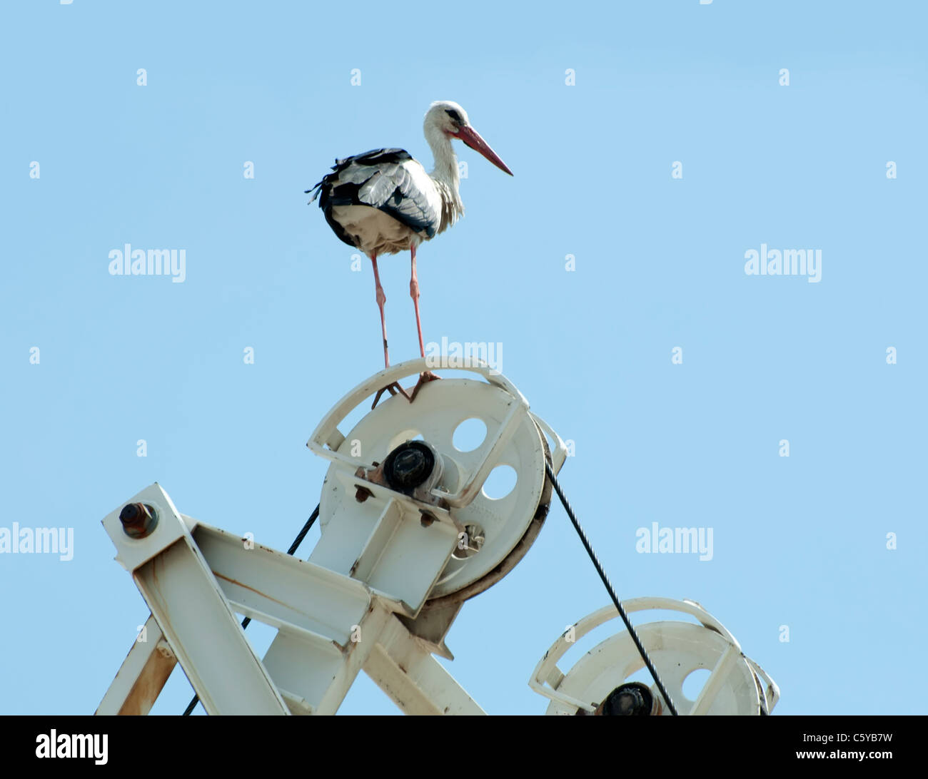 Stork perched on a machine. Blue sky background Stock Photo - Alamy