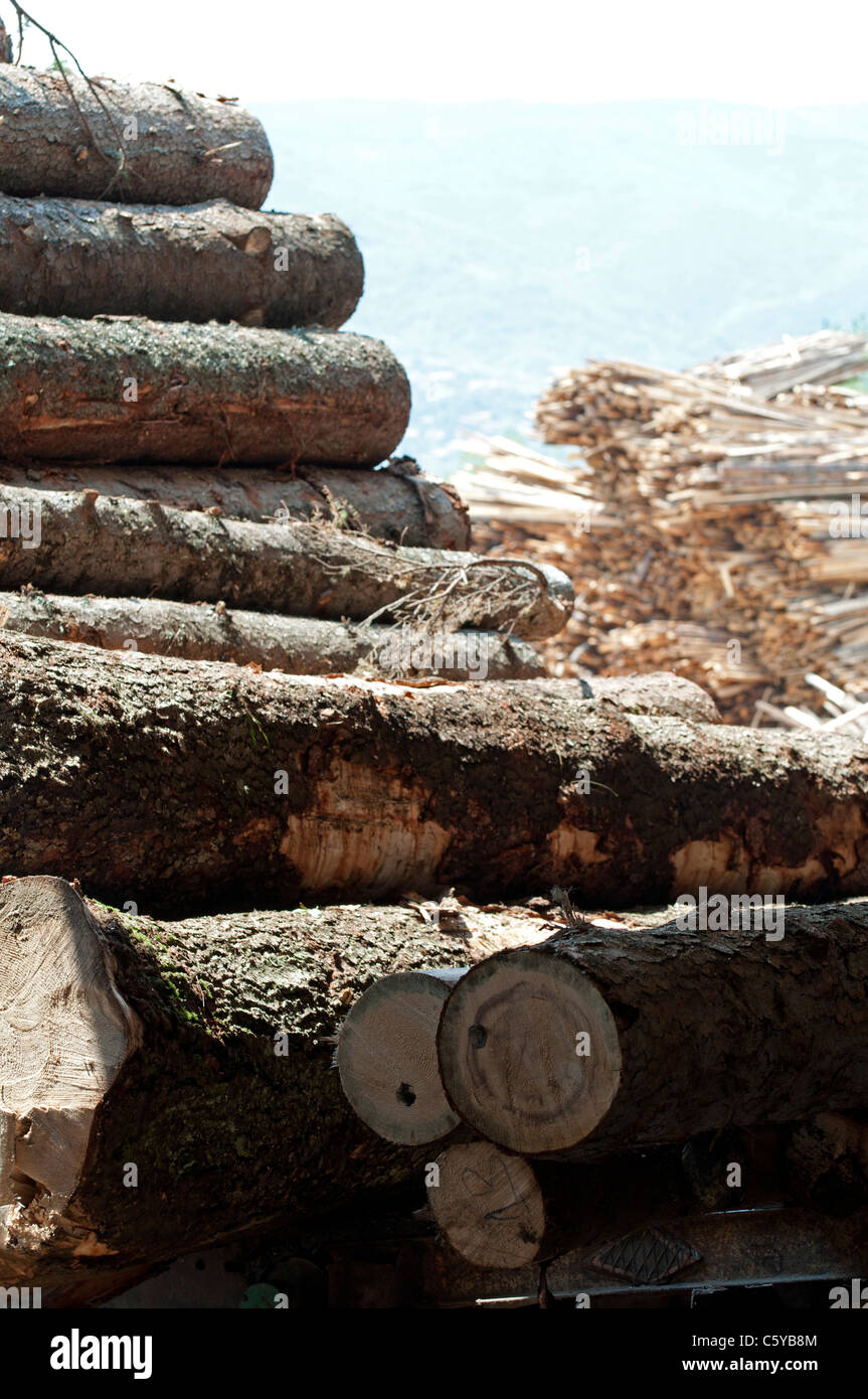 Timber. Planks and beams arranged Stock Photo - Alamy
