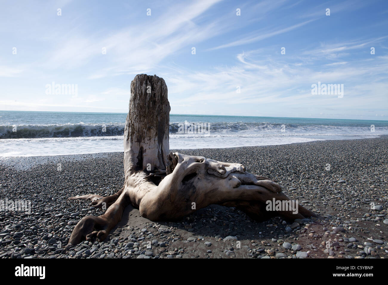 Stone tree stump hi-res stock photography and images - Alamy