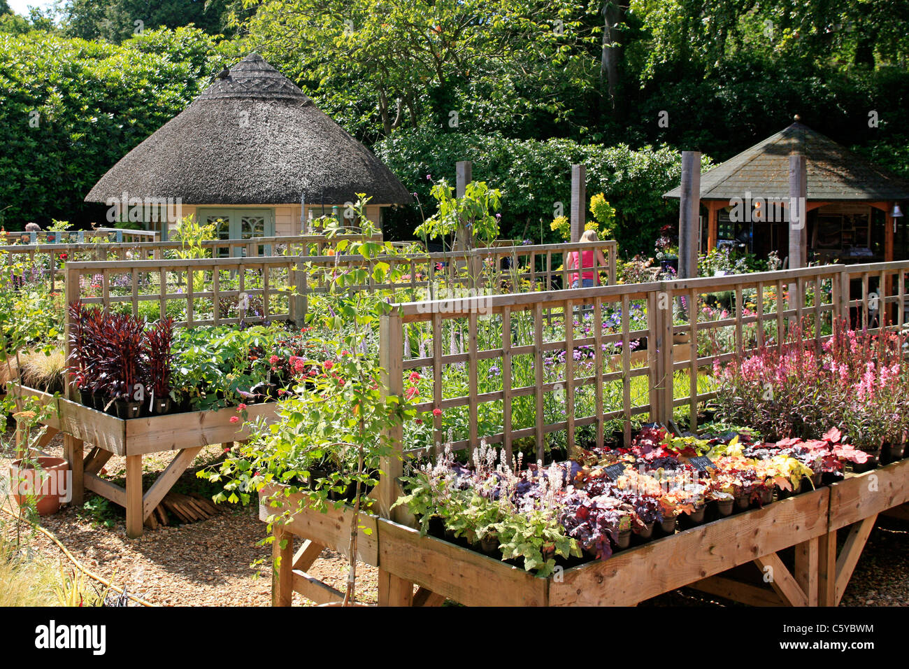 Plants For sale area at Compton Acres in Dorset England Stock Photo - Alamy