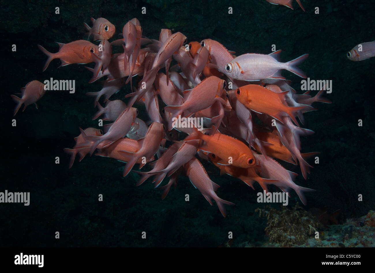 Safety in Numbers Stock Photo - Alamy