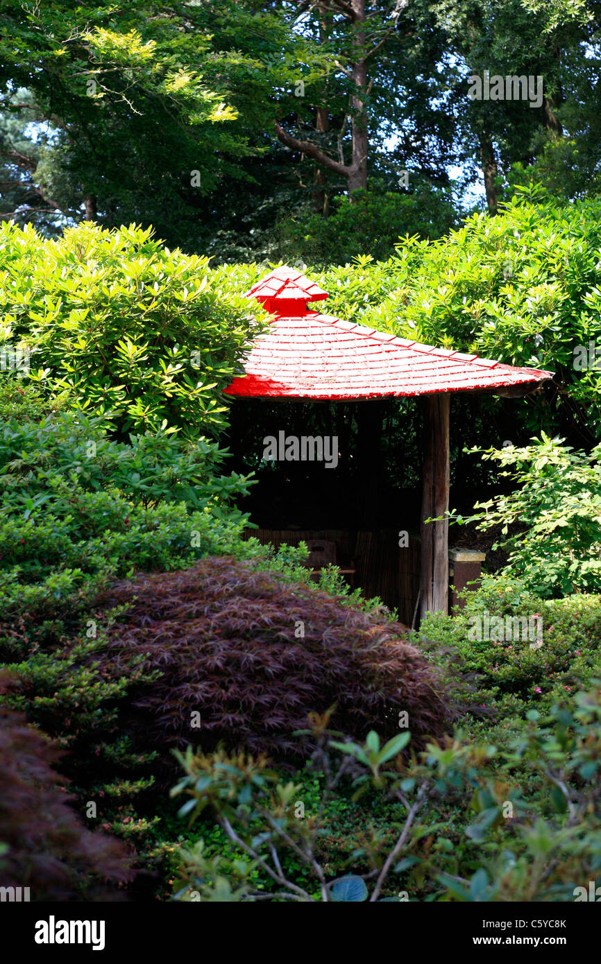 Japanese Tea House Roof