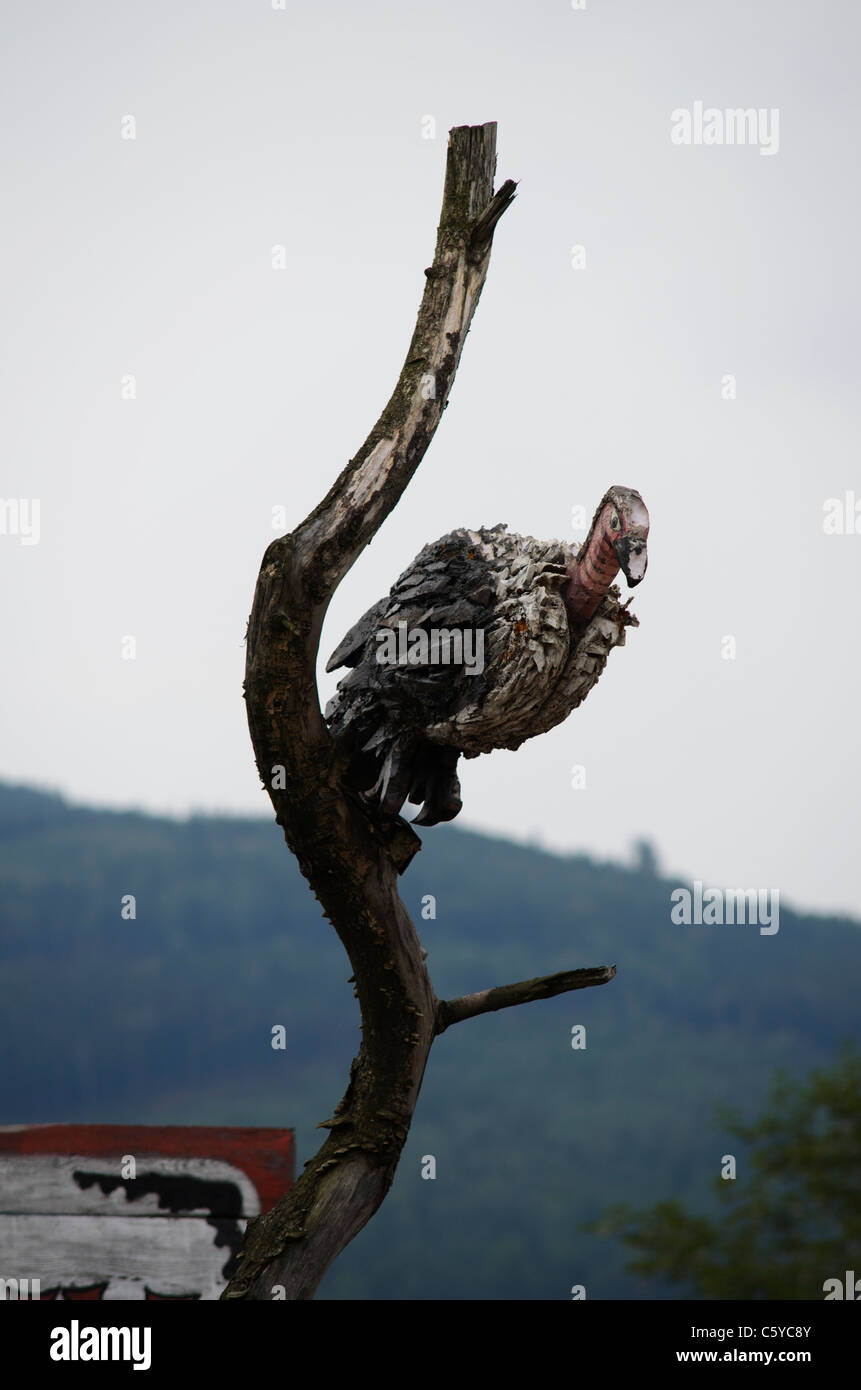 Vulture on a tree Stock Photo - Alamy