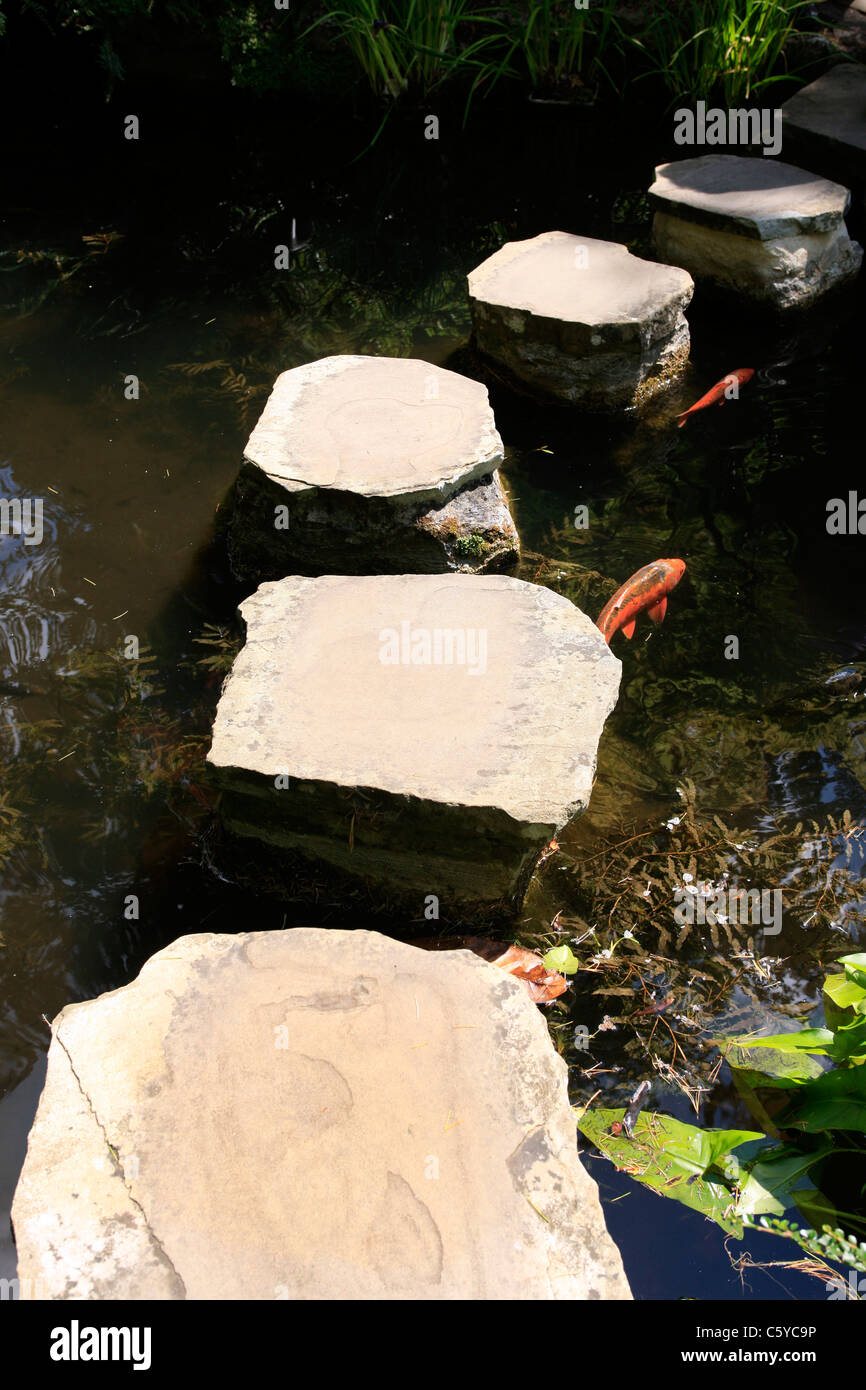 Stepping Stones across a fish filled pond Stock Photo - Alamy