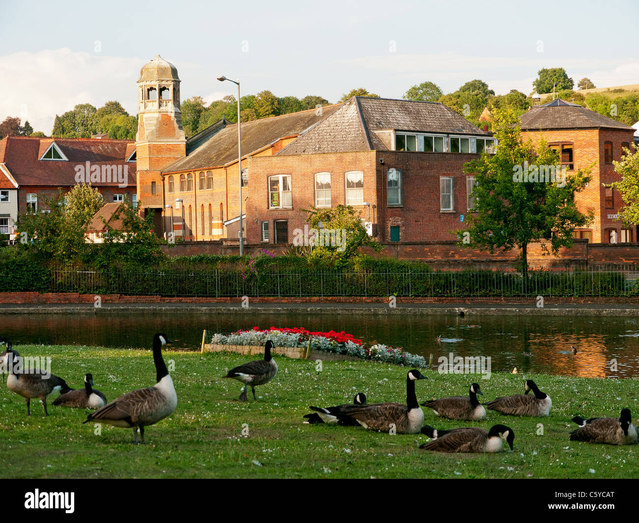 Lownes park hi-res stock photography and images - Alamy