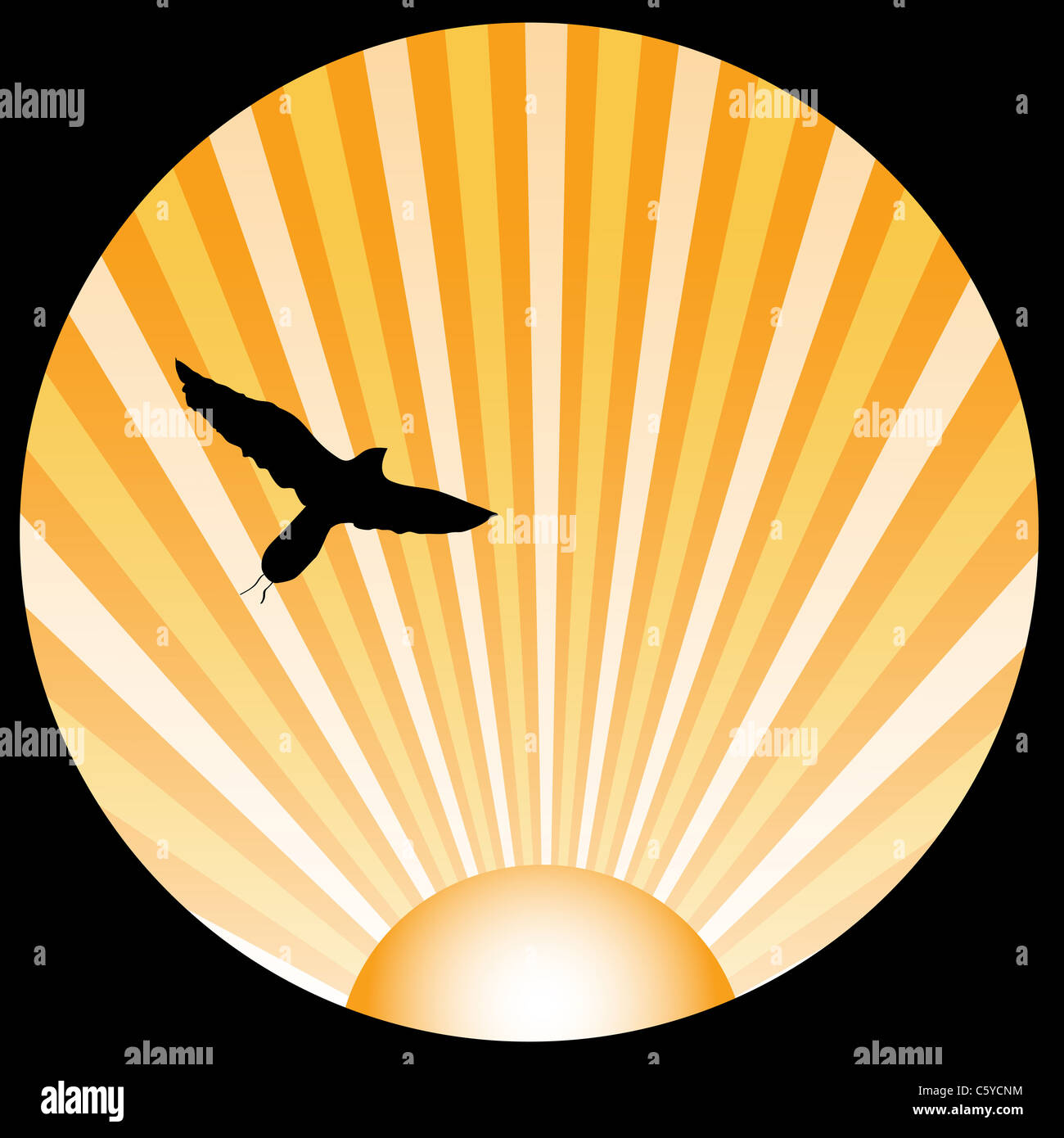 Bird flying past sun hi-res stock photography and images - Alamy