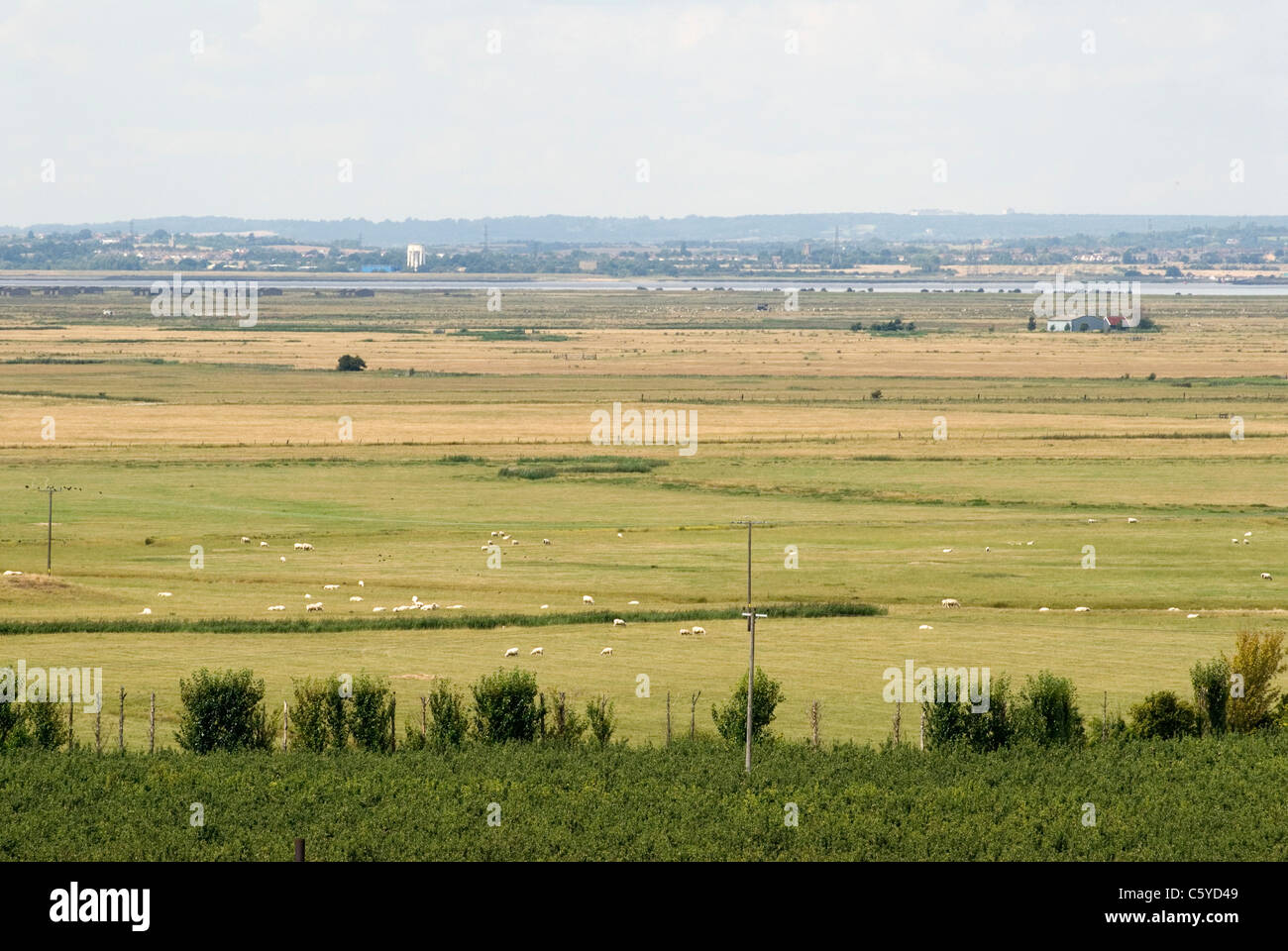 Cooling marshes, Isle of Grain. RSPB nature reserve at Northward Hill ...