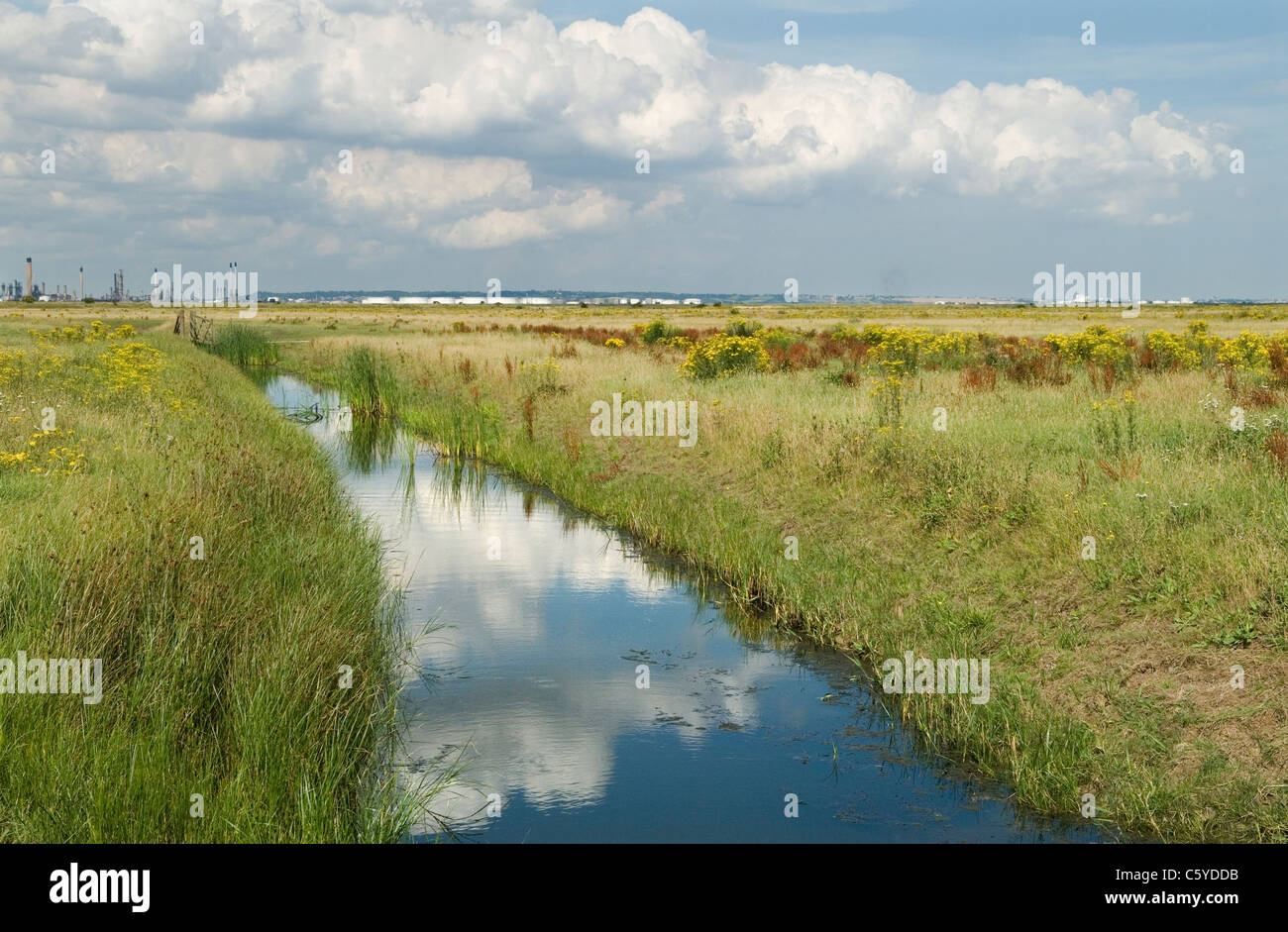 Cliffe marsh, Isle of Grain, Hoo Peninsular, Kent, UK. Proposed ...