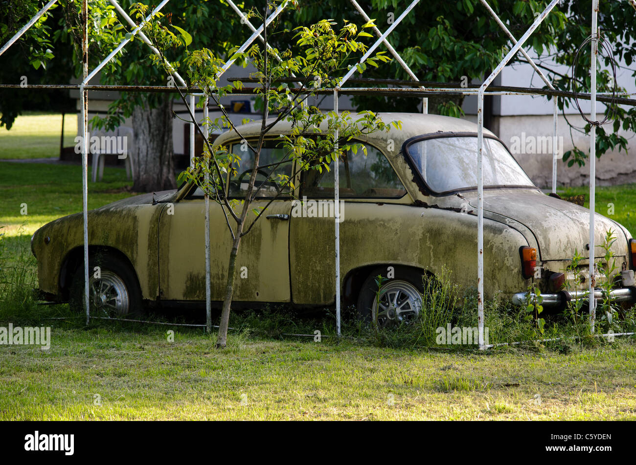 Car Bush Stock Photos & Car Bush Stock Images - Alamy