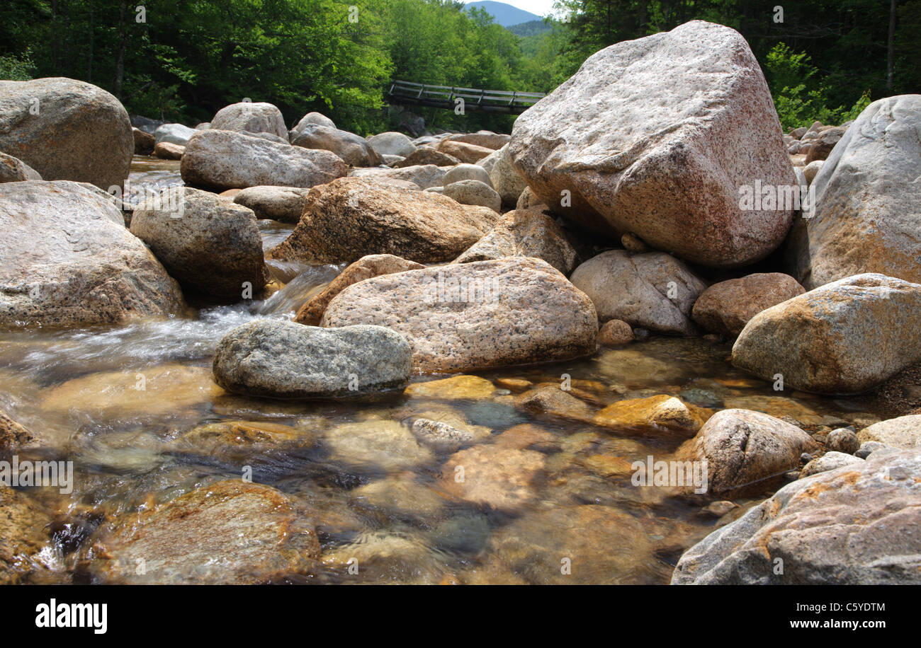 Pemigewasset Wilderness - East Branch of the Pemigewasset River in the ...